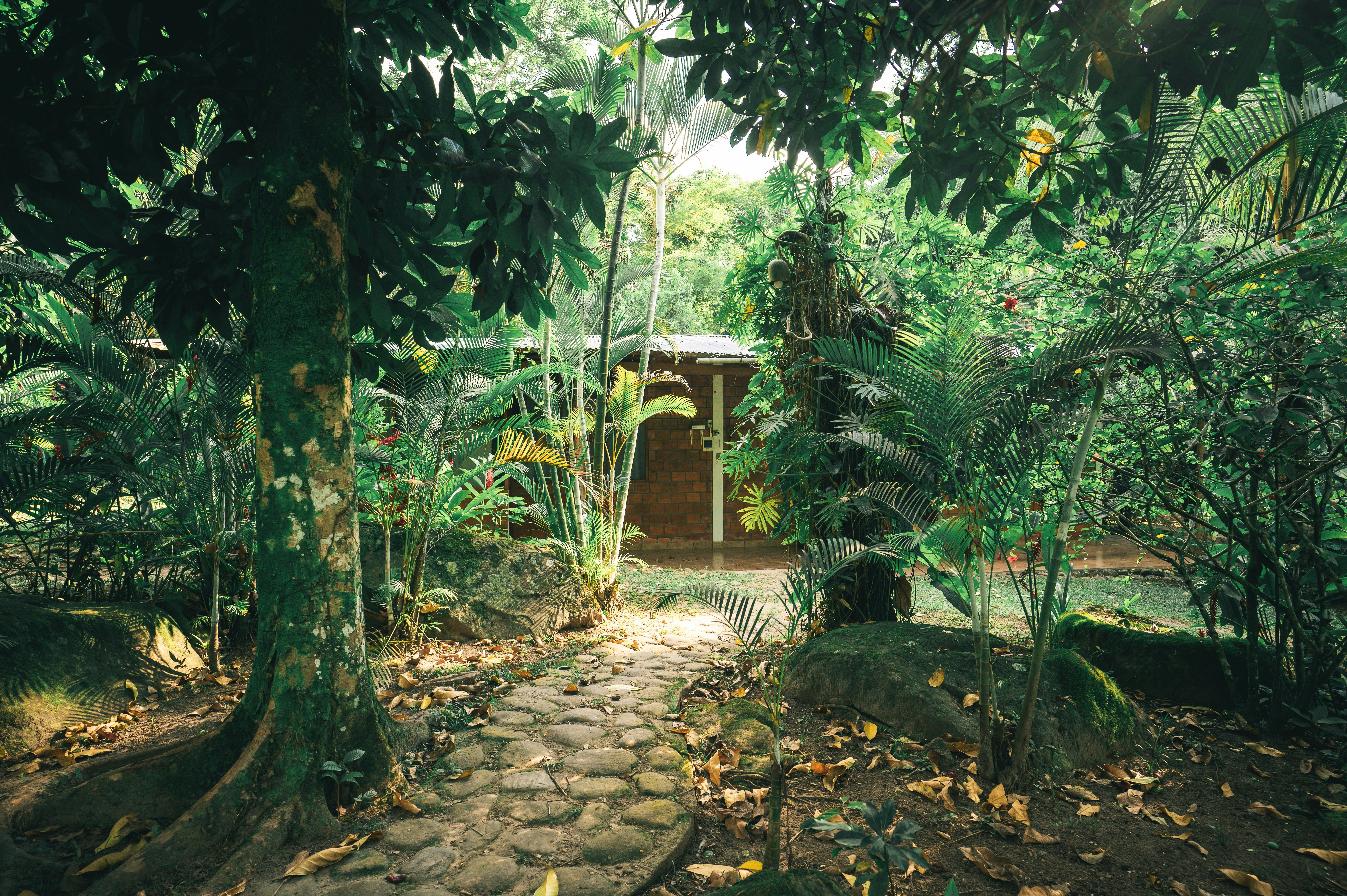 Shooting for an Eco-Lodge in the amazonian rainforest, Tarapoto, Peru.