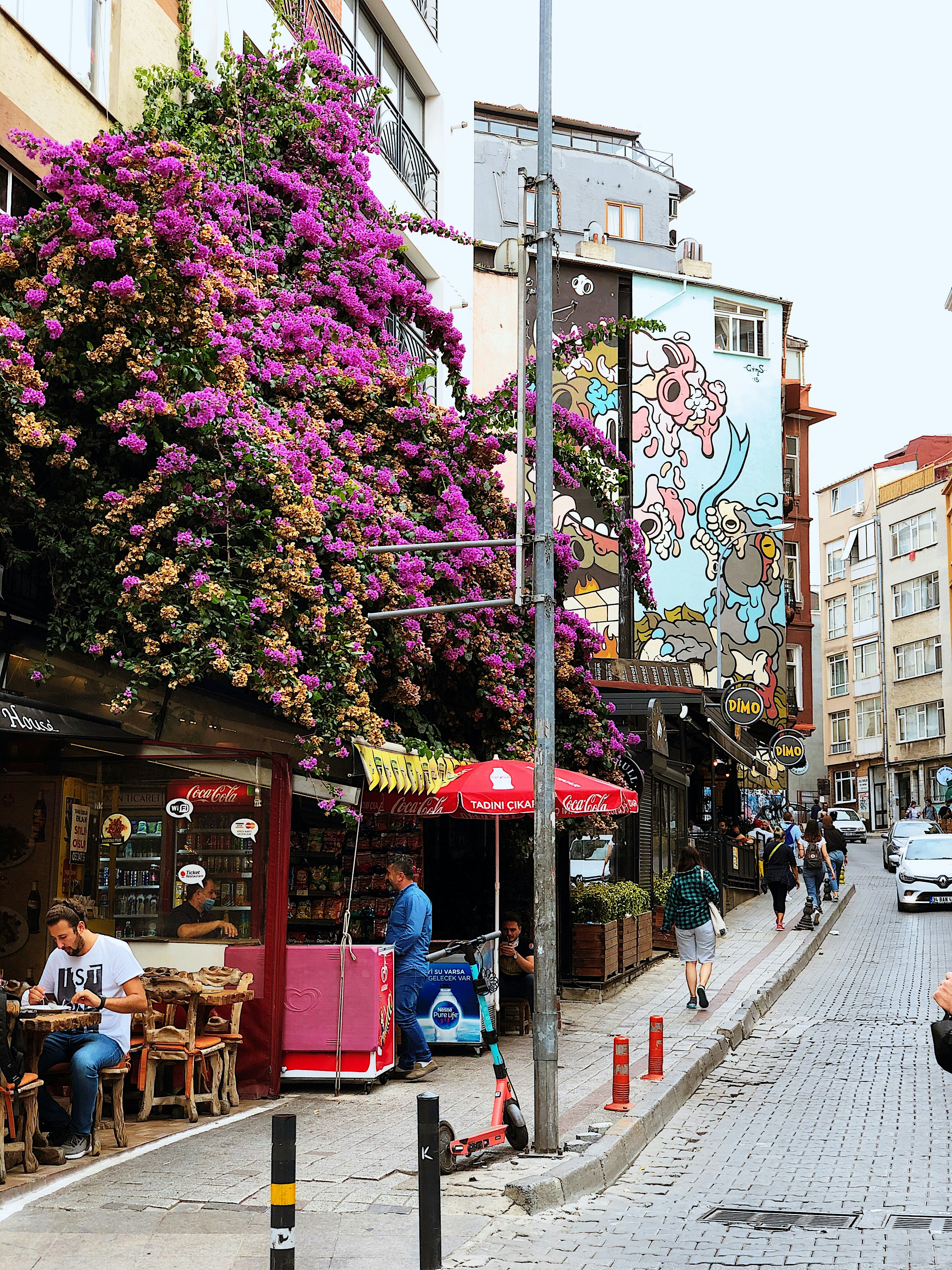 Bougainvillea Cascade Framing a Mural-Filled Street Scene
