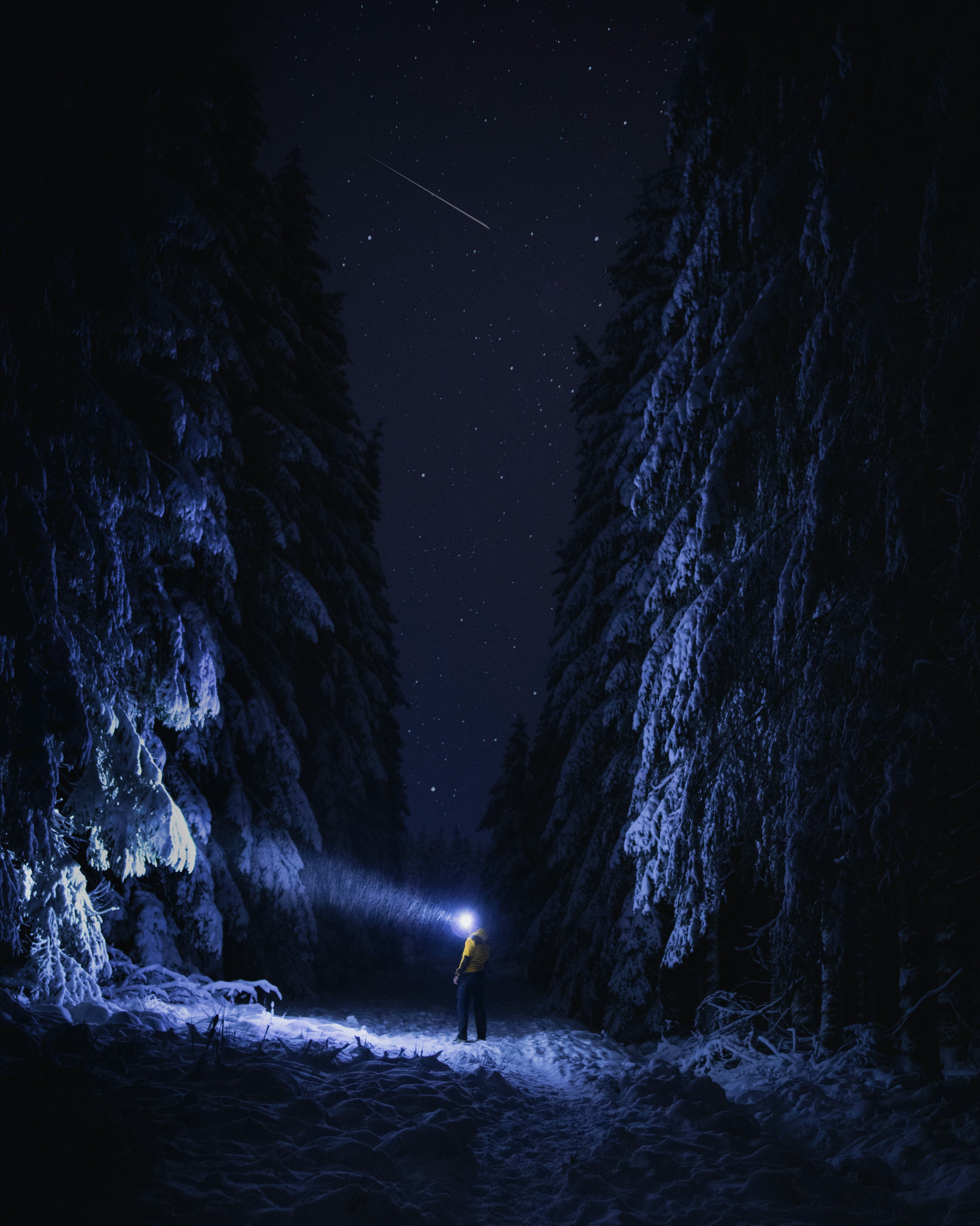 Headlamp Silence: A Snowbound Forest Beneath a Meteor's Arc
