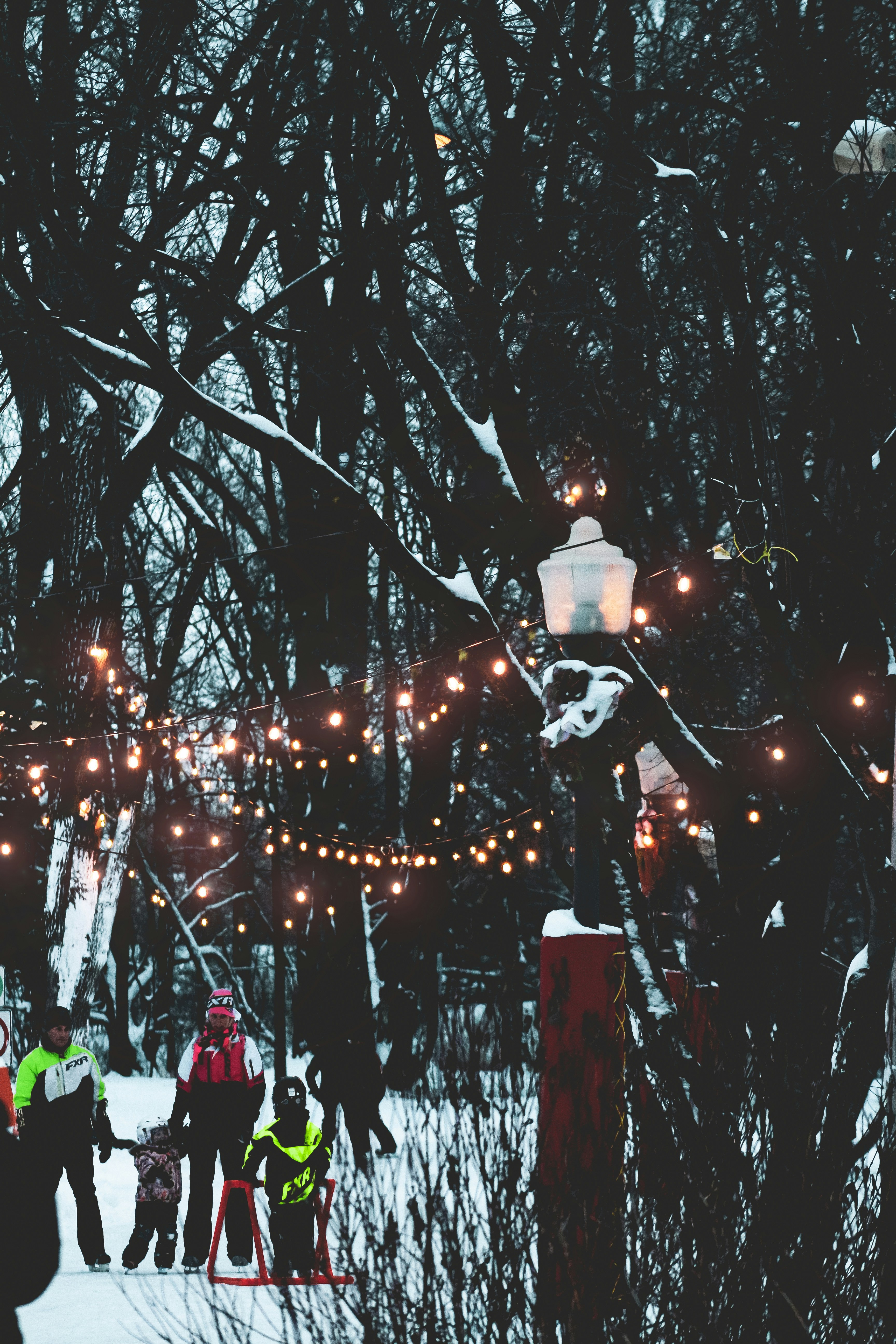 Snowbound Night Beneath a Canopy of Warm Park Lights