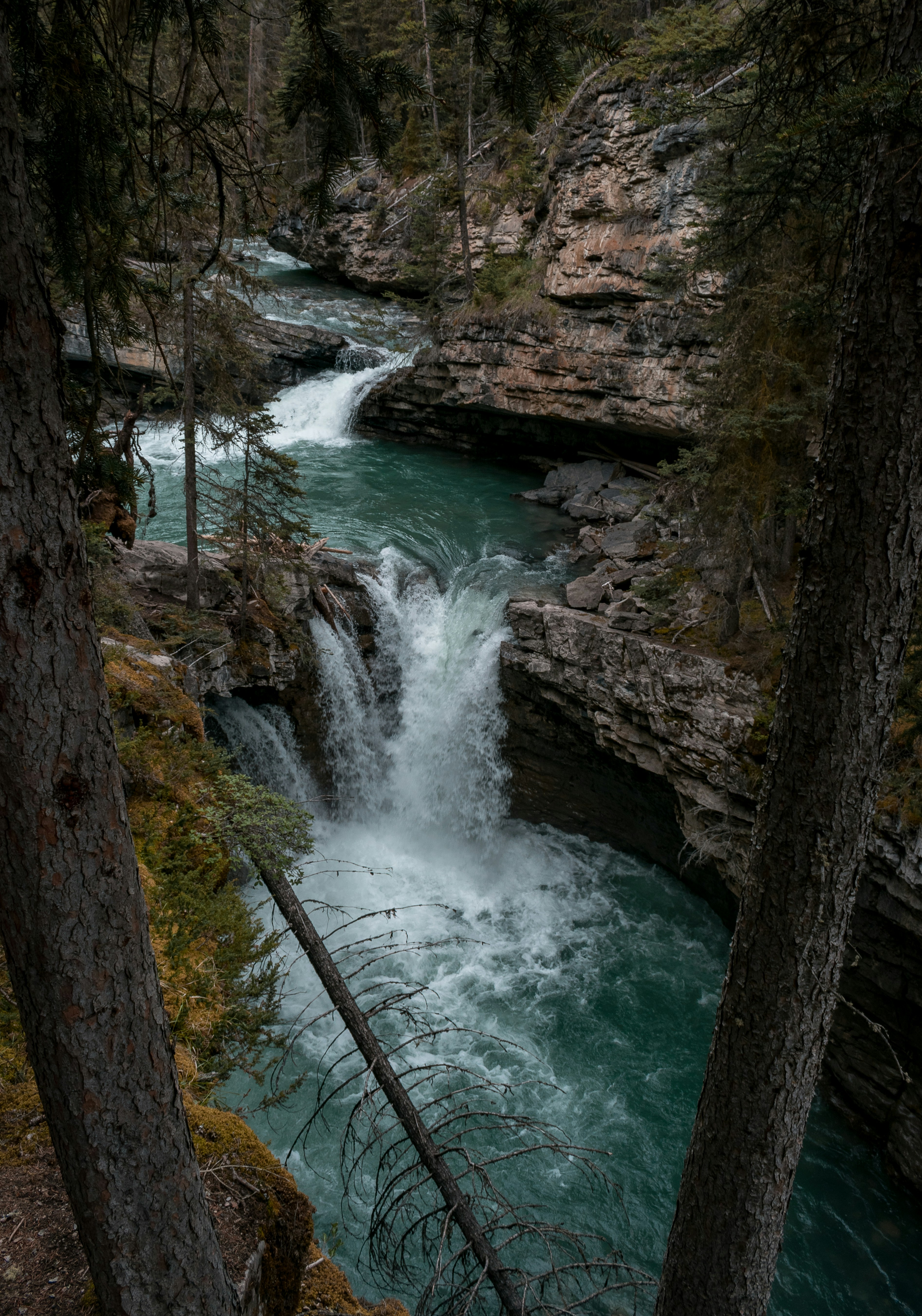 Nature | 32 best free nature, plant, outdoor and wallpaper photos on ...