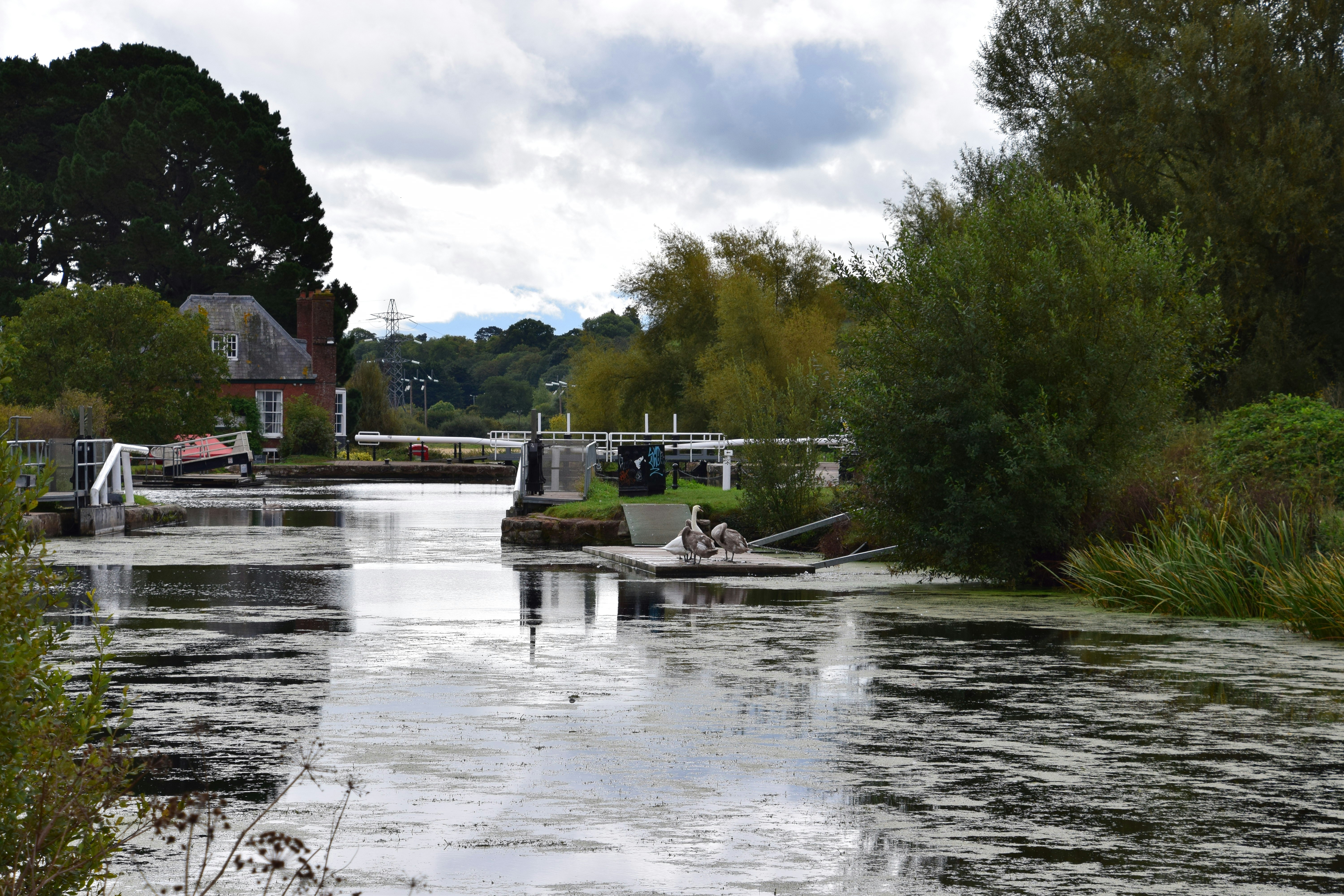 Scenic view of a canal lock surrounded by lush greenery and a distant pub under a cloudy sky.