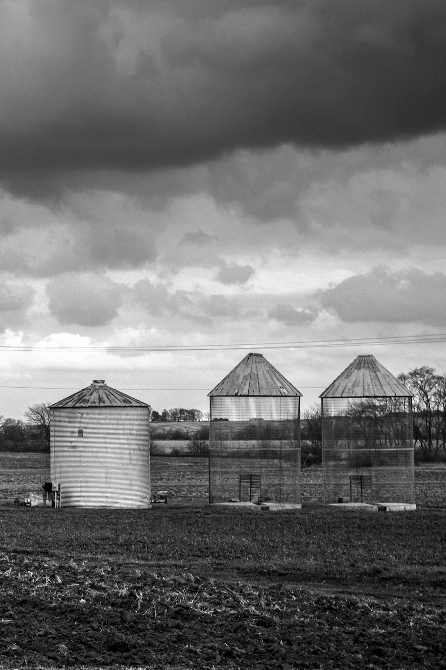 Row of grain silos stands under a heavy cloudscape, industrial landscape captured in monochrome to emphasize texture and contrast.
