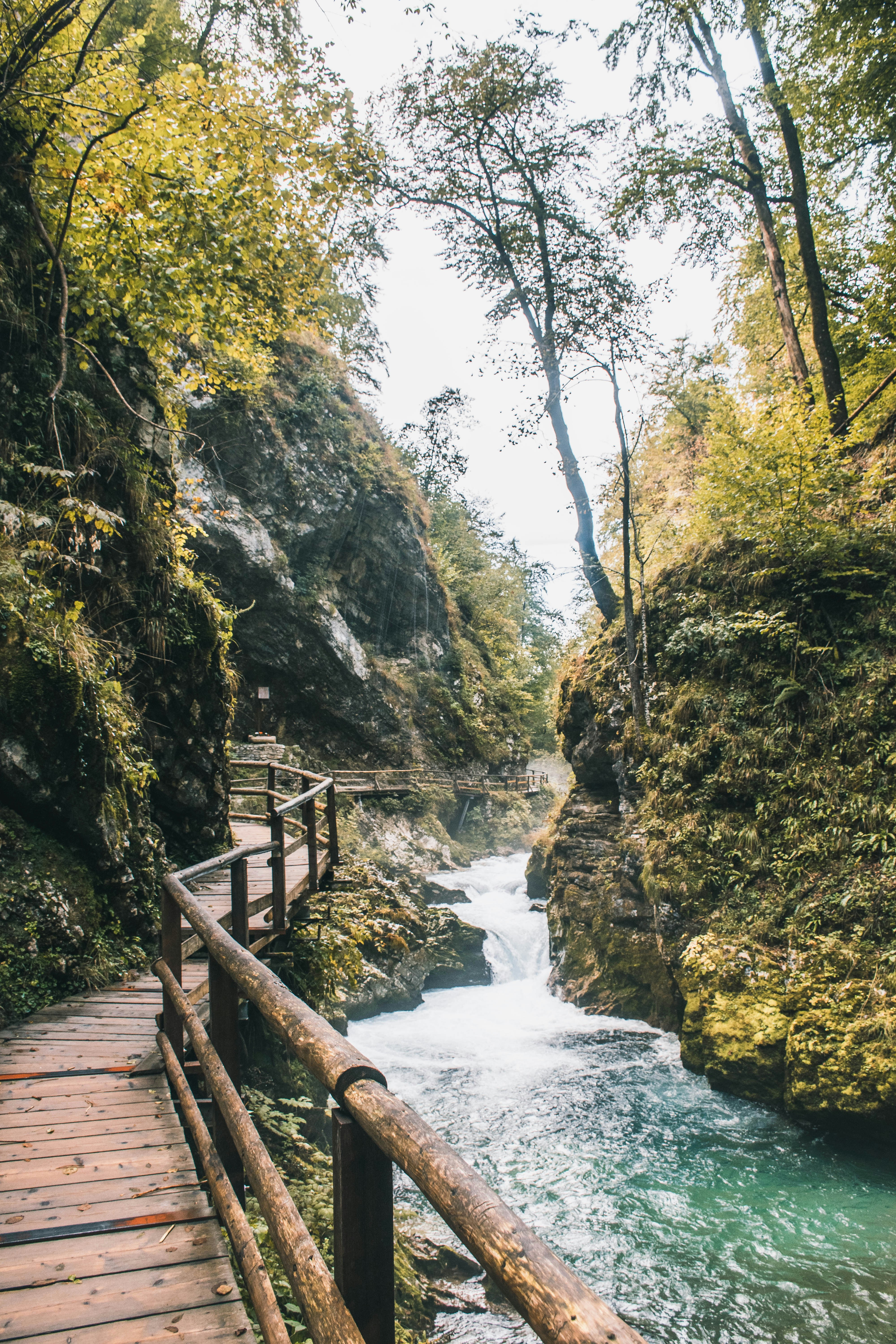 Wooden bridge winds through lush canyon beside a vibrant turquoise stream.