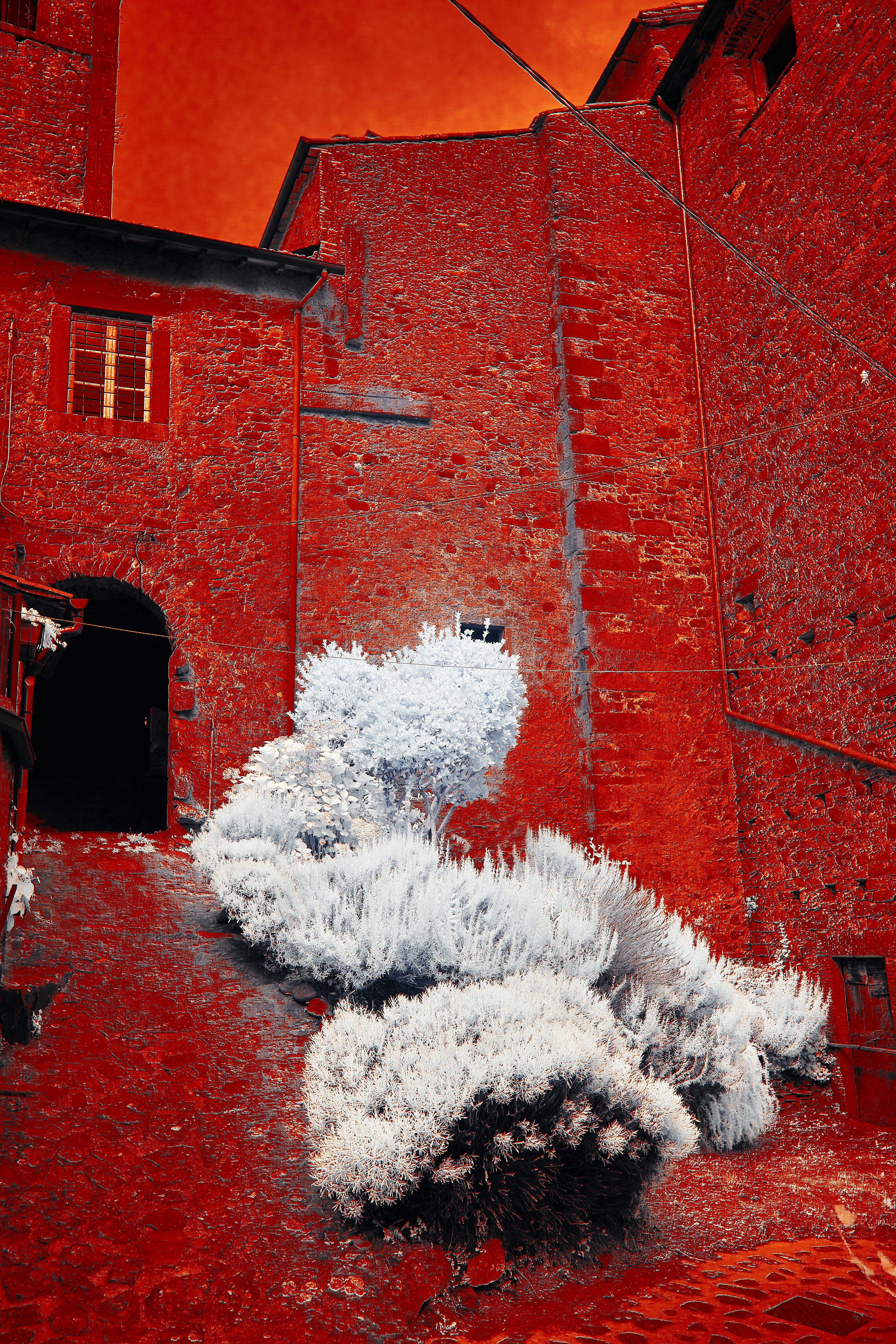 Infrared Encounter: Crimson Brick Facade Framed by Snowy Foliage