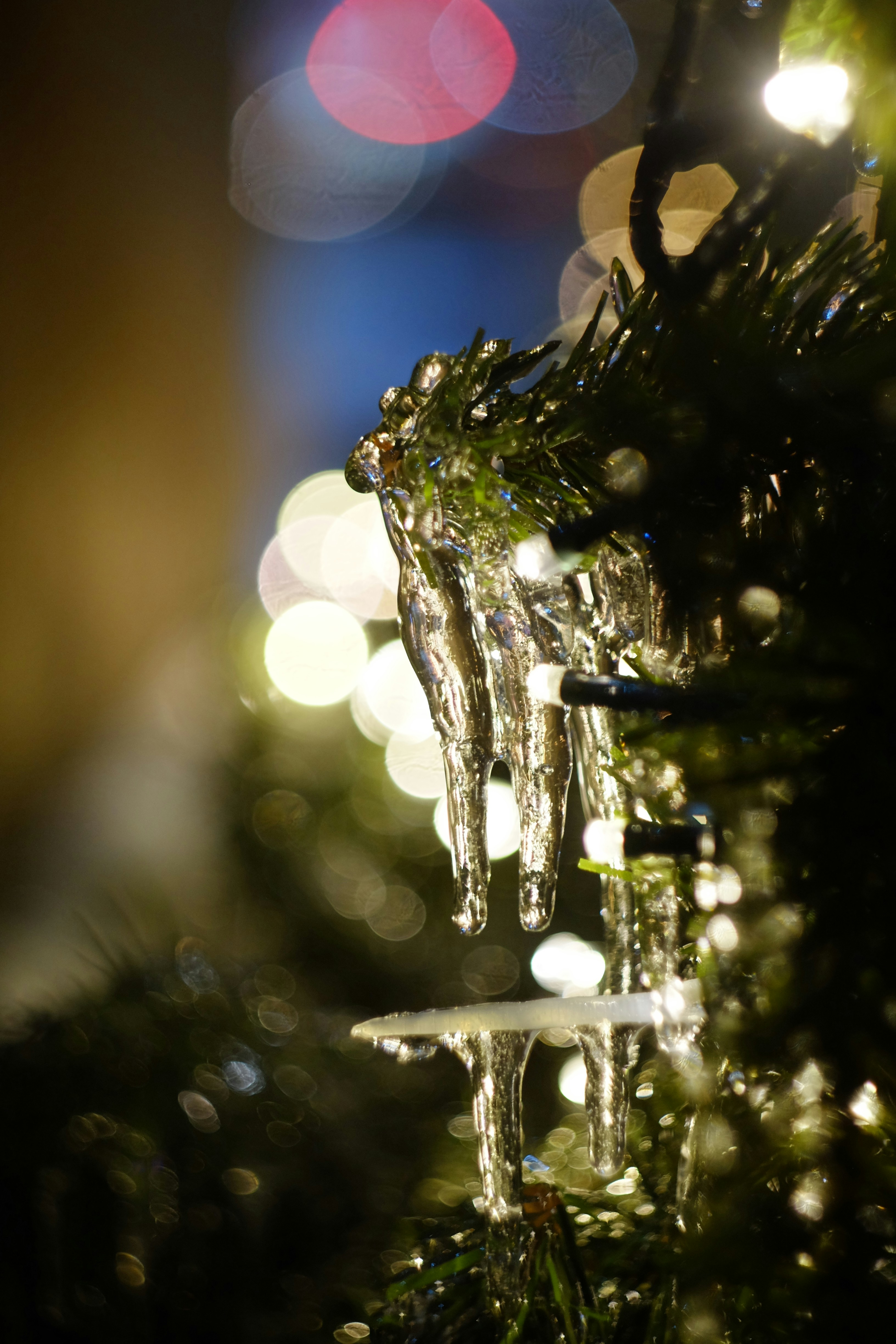 Icicle Portrait on a Christmas Tree Against Neon City Bokeh