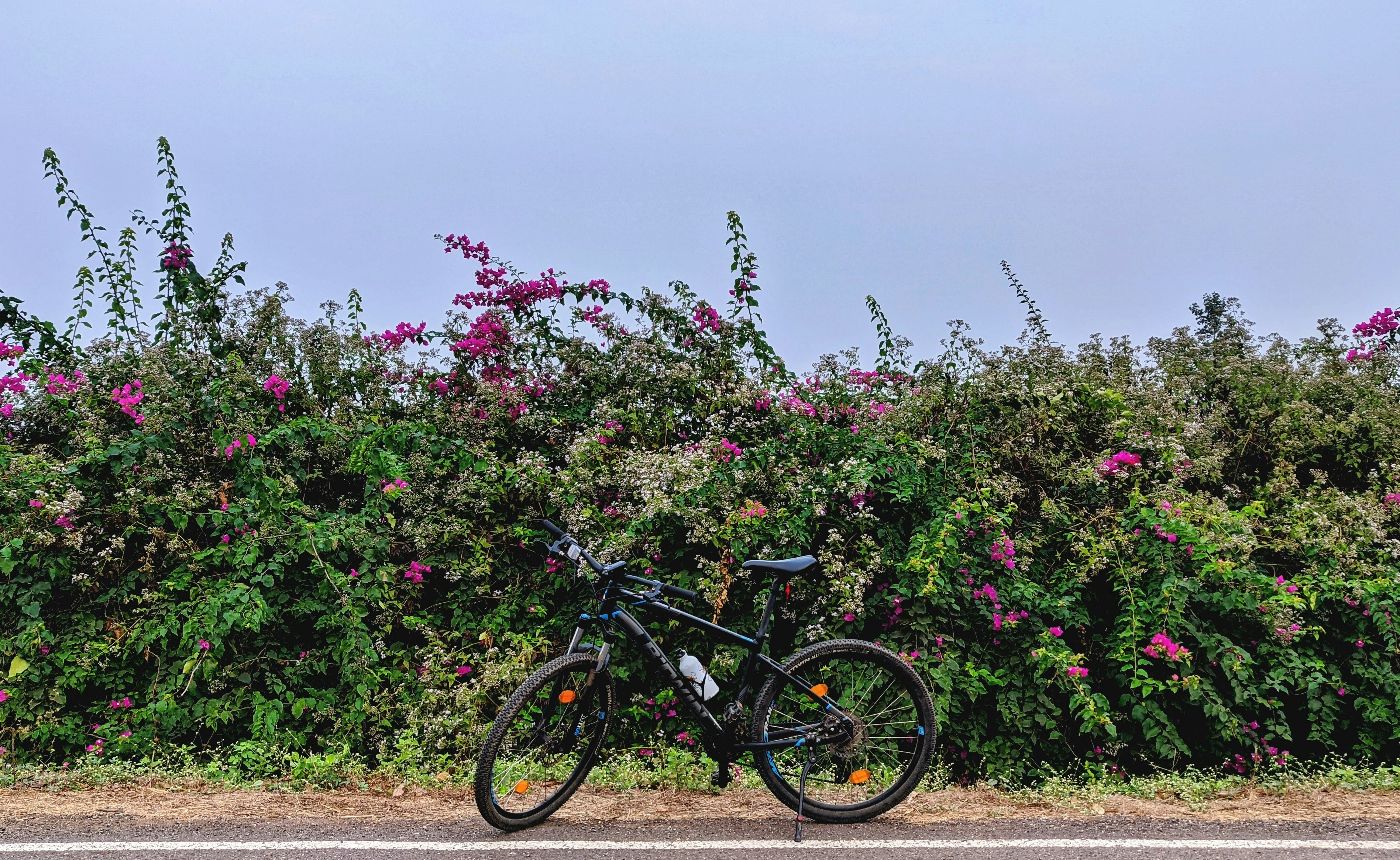 Cycle with blooming flowers.