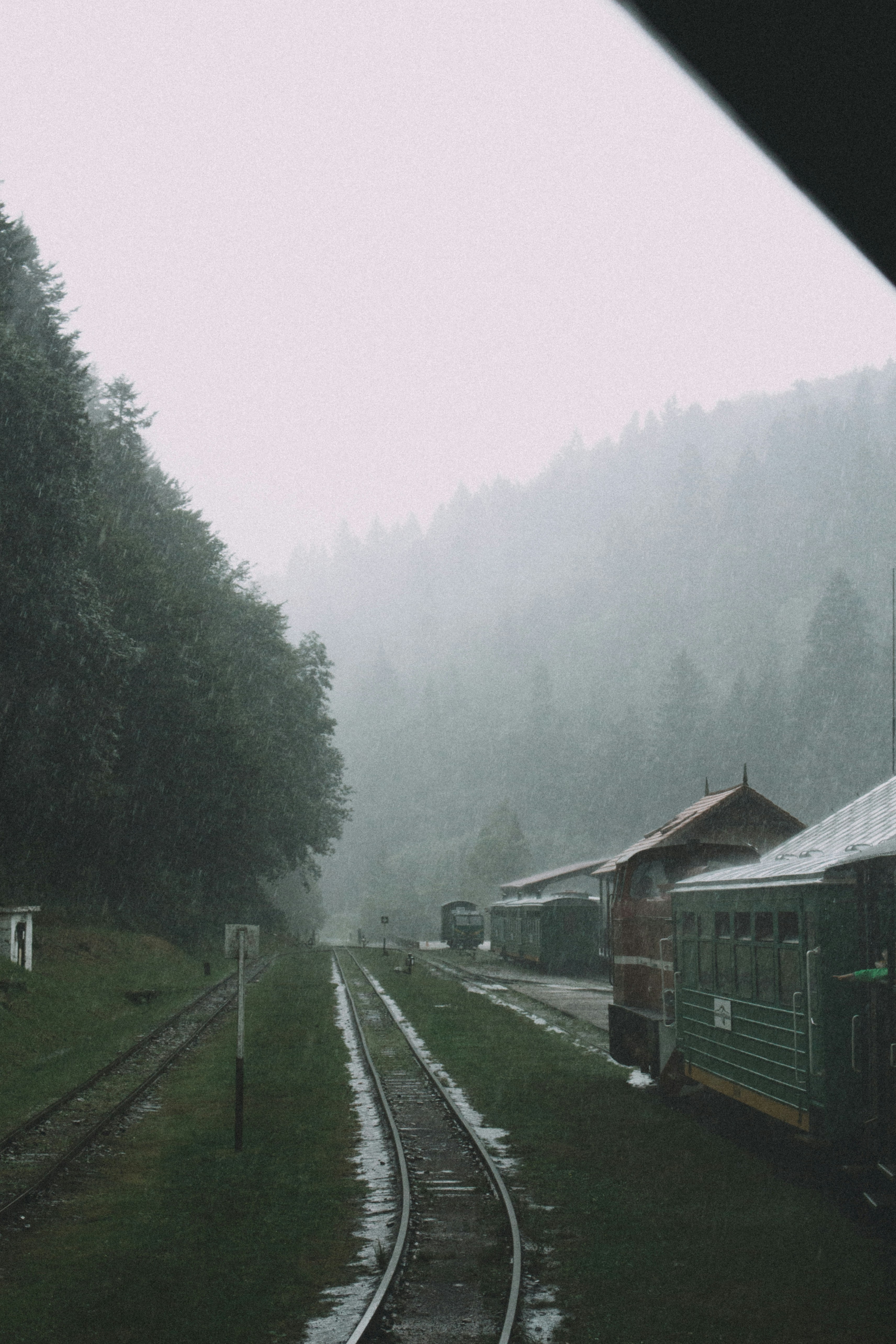 Abandoned train tracks under heavy rain, framed by lush trees and misty mountains in the background.