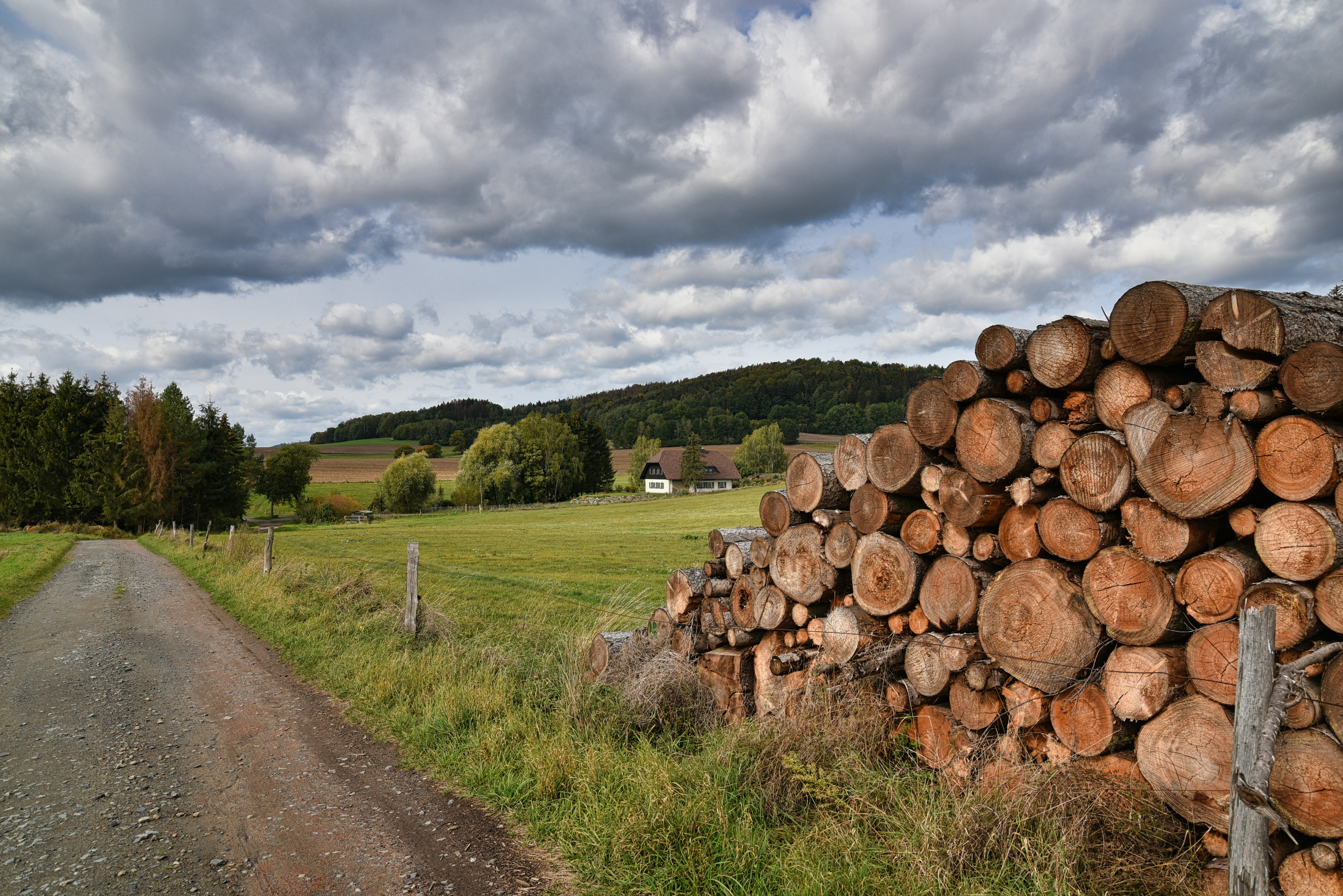 brown wood logs on green grass field under white clouds and blue sky during daytime