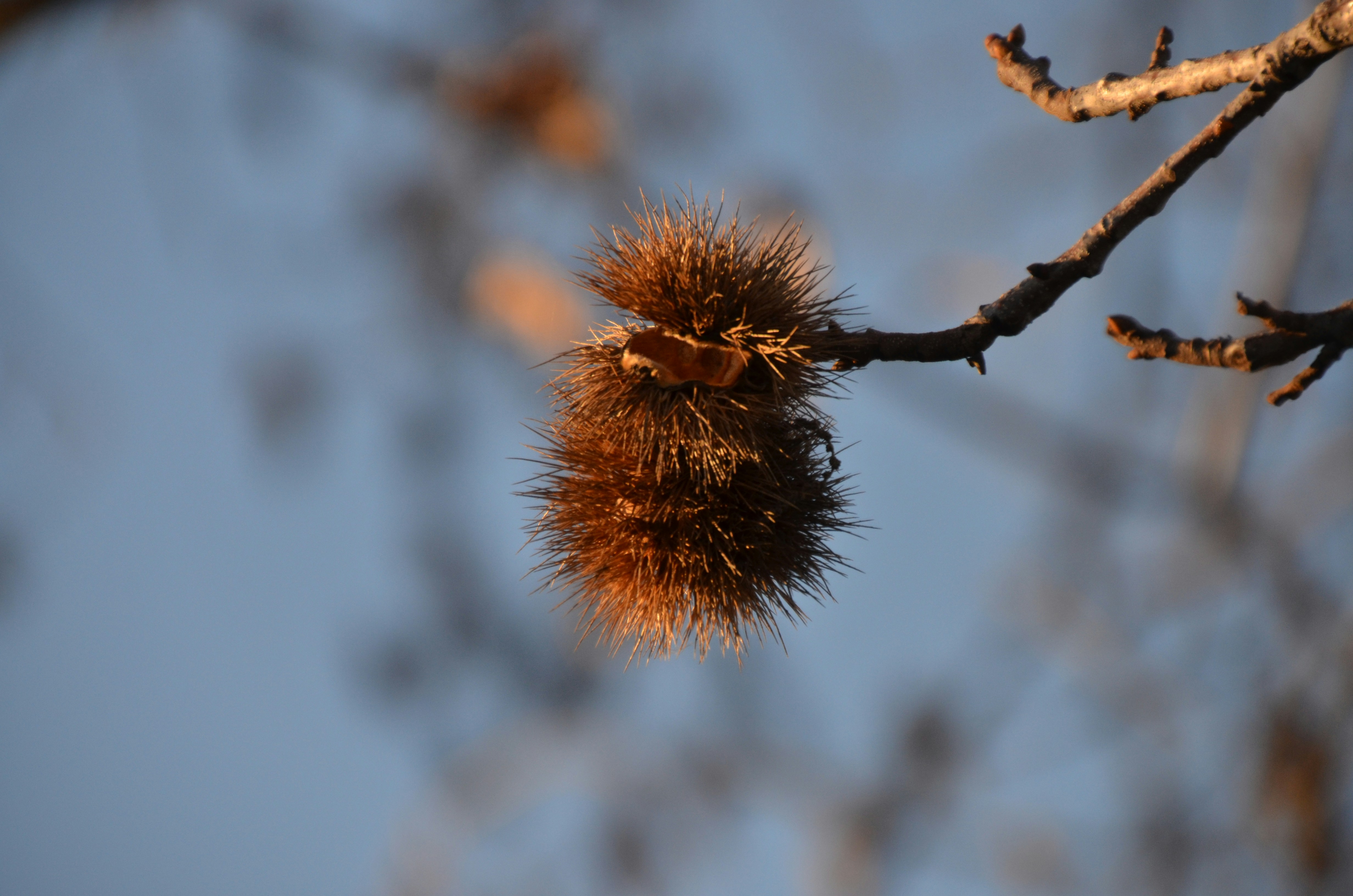 Riccardo Romagnoli (@riocma) | Komunitas Foto Unsplash