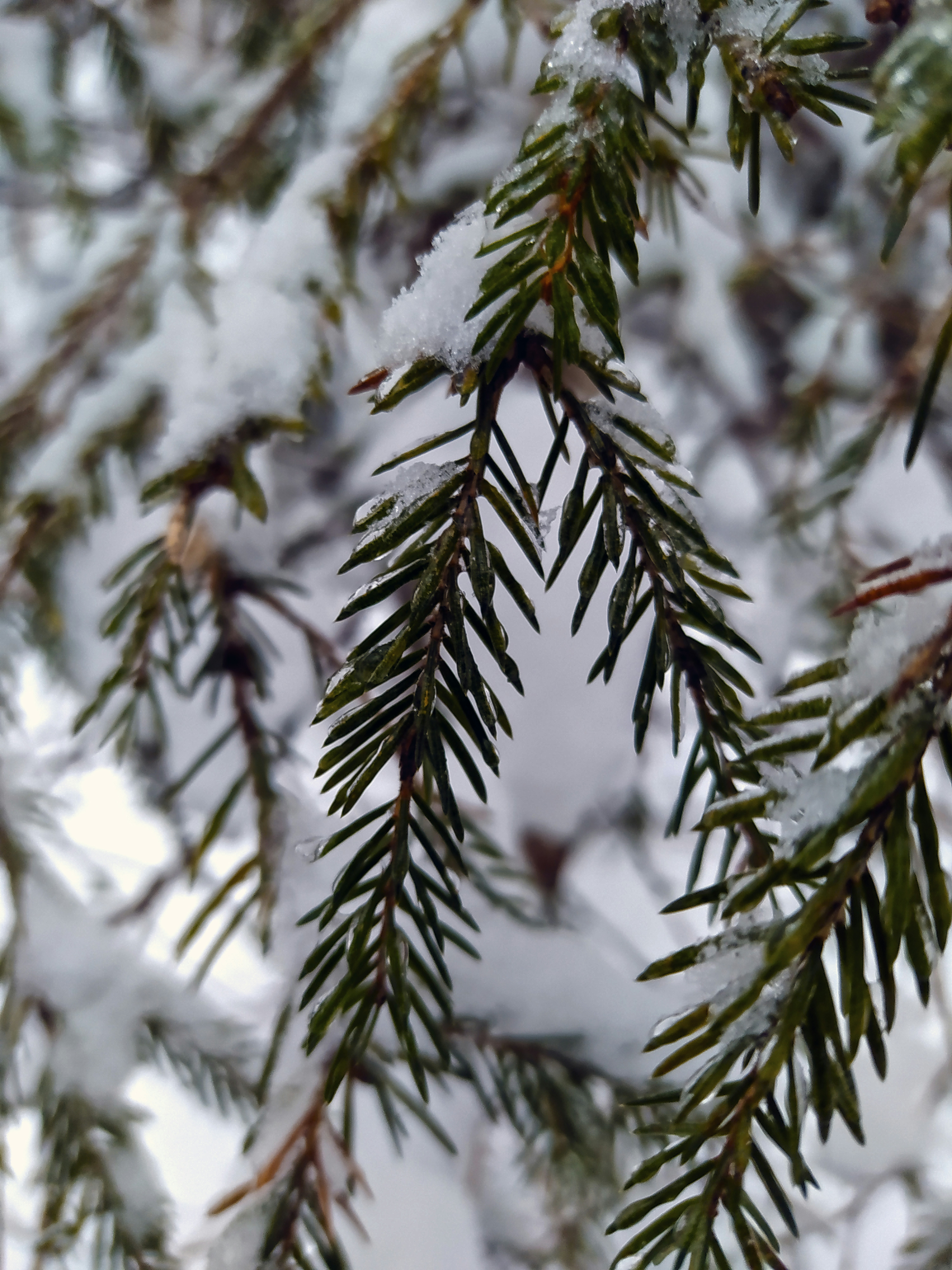 Jonh Corner (@jonhcor) | Unsplash Photo Community