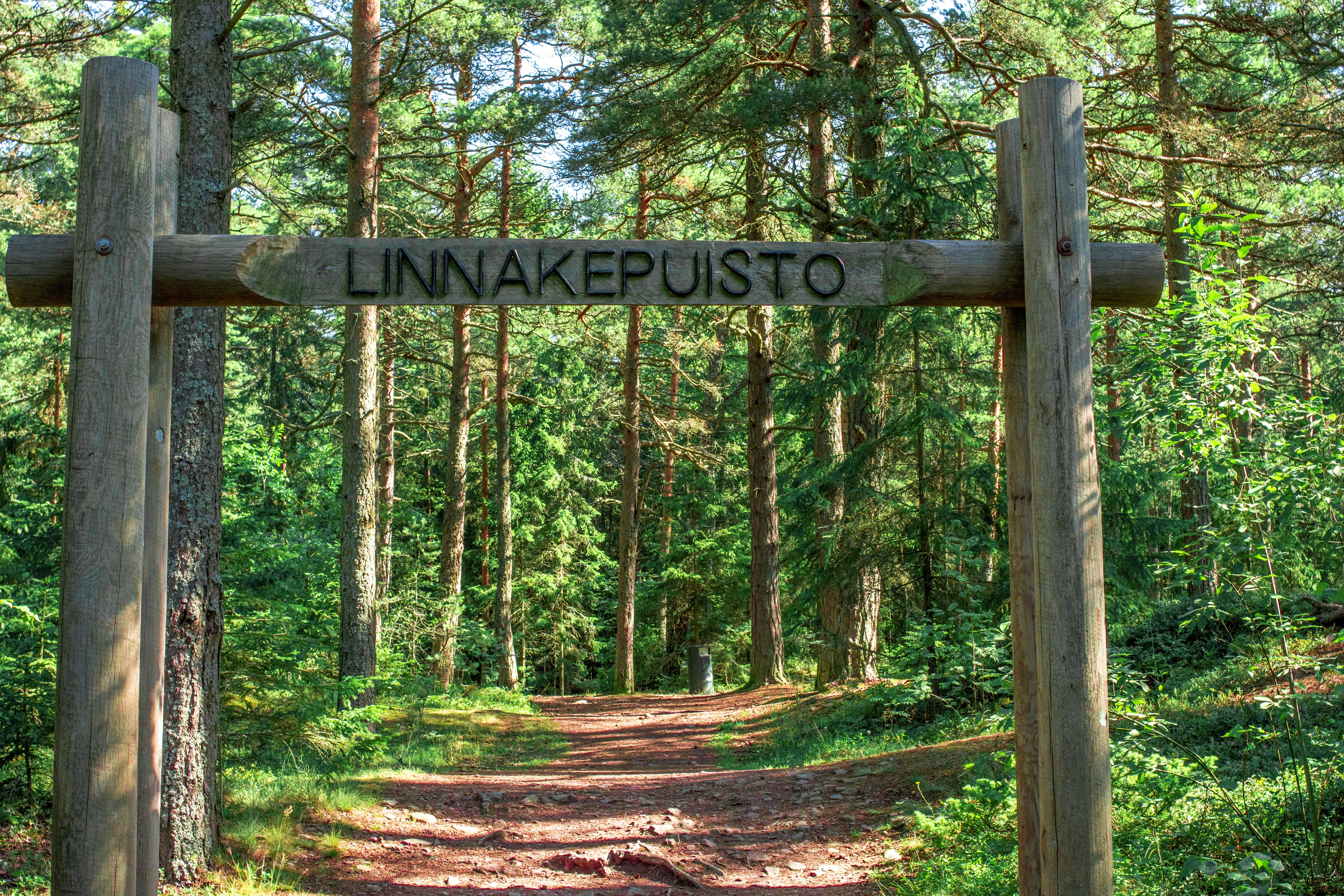 Brown wooden signage on forest during daytime photo – Free ...
