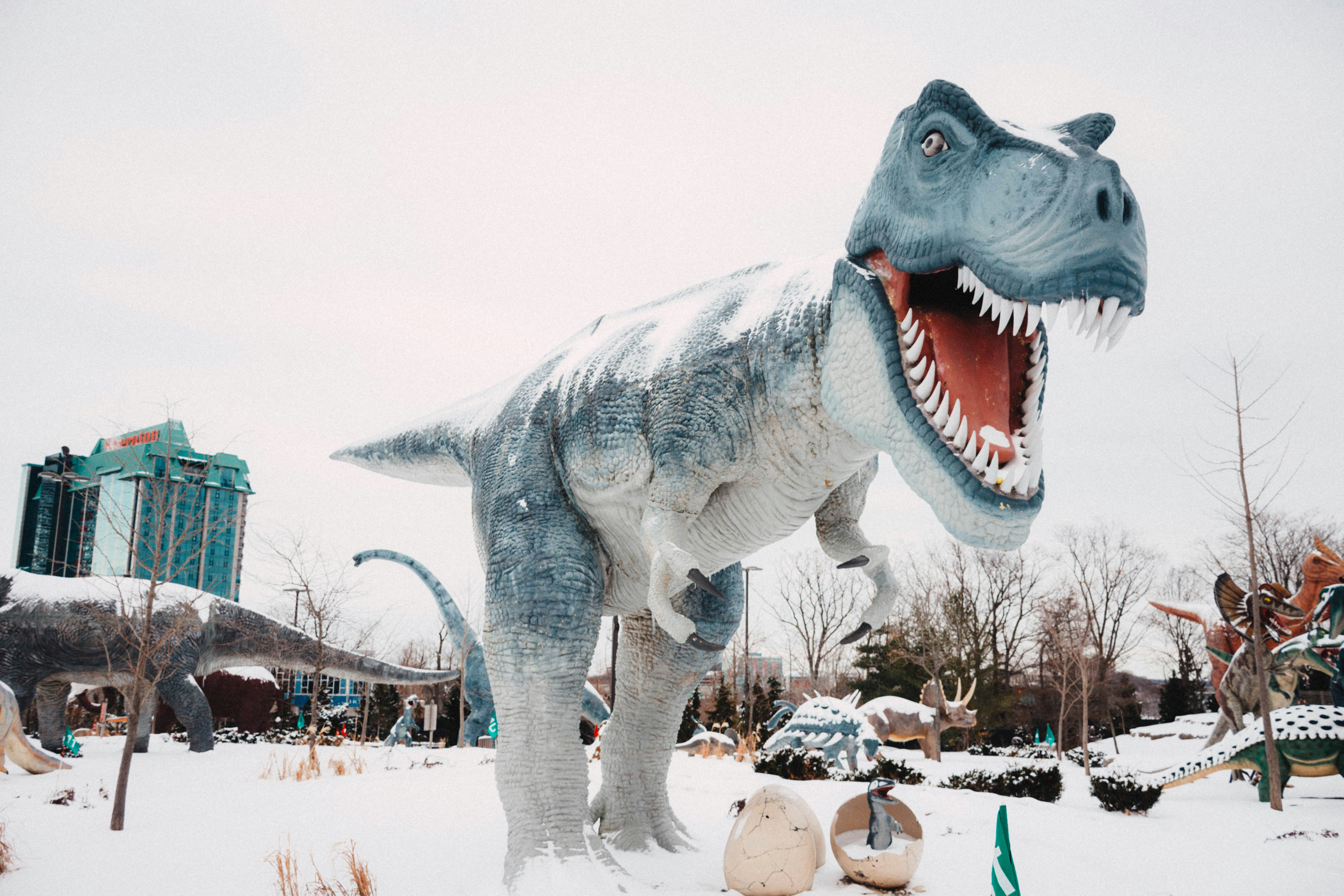 Winter Roar: A towering T. rex presides over a snowy outdoor dinosaur park