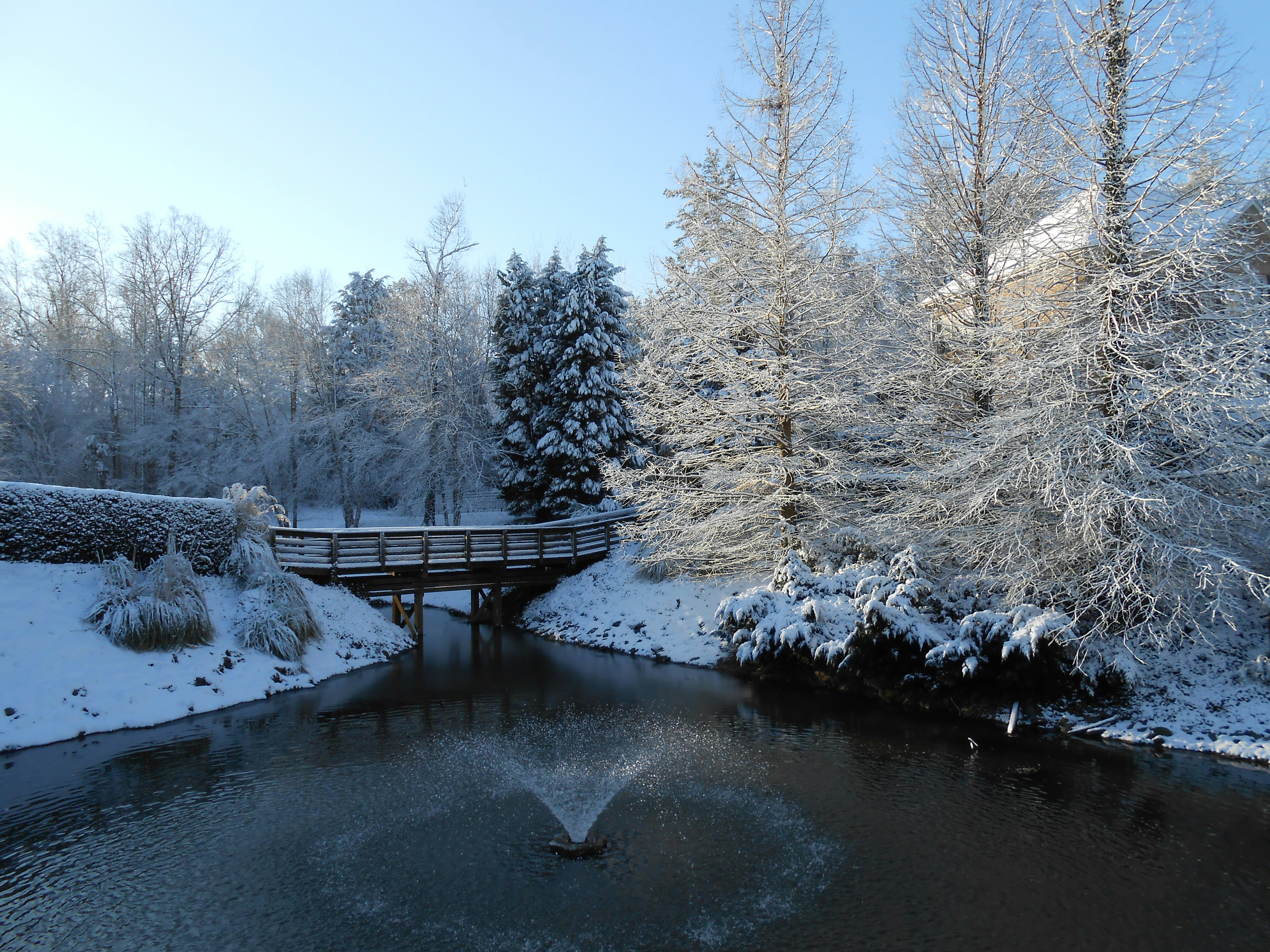 Snow-Crowned Canal Arch Under Quiet Winter Sky
