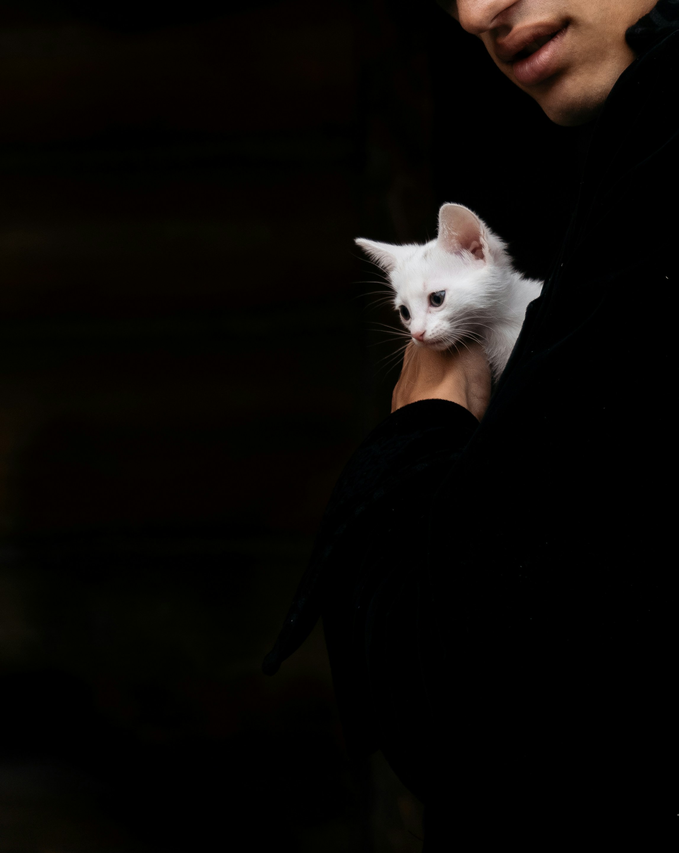 A young person cradles a curious white kitten against a dark background, highlighting their tender connection. The scene captures a moment of warmth and companionship.