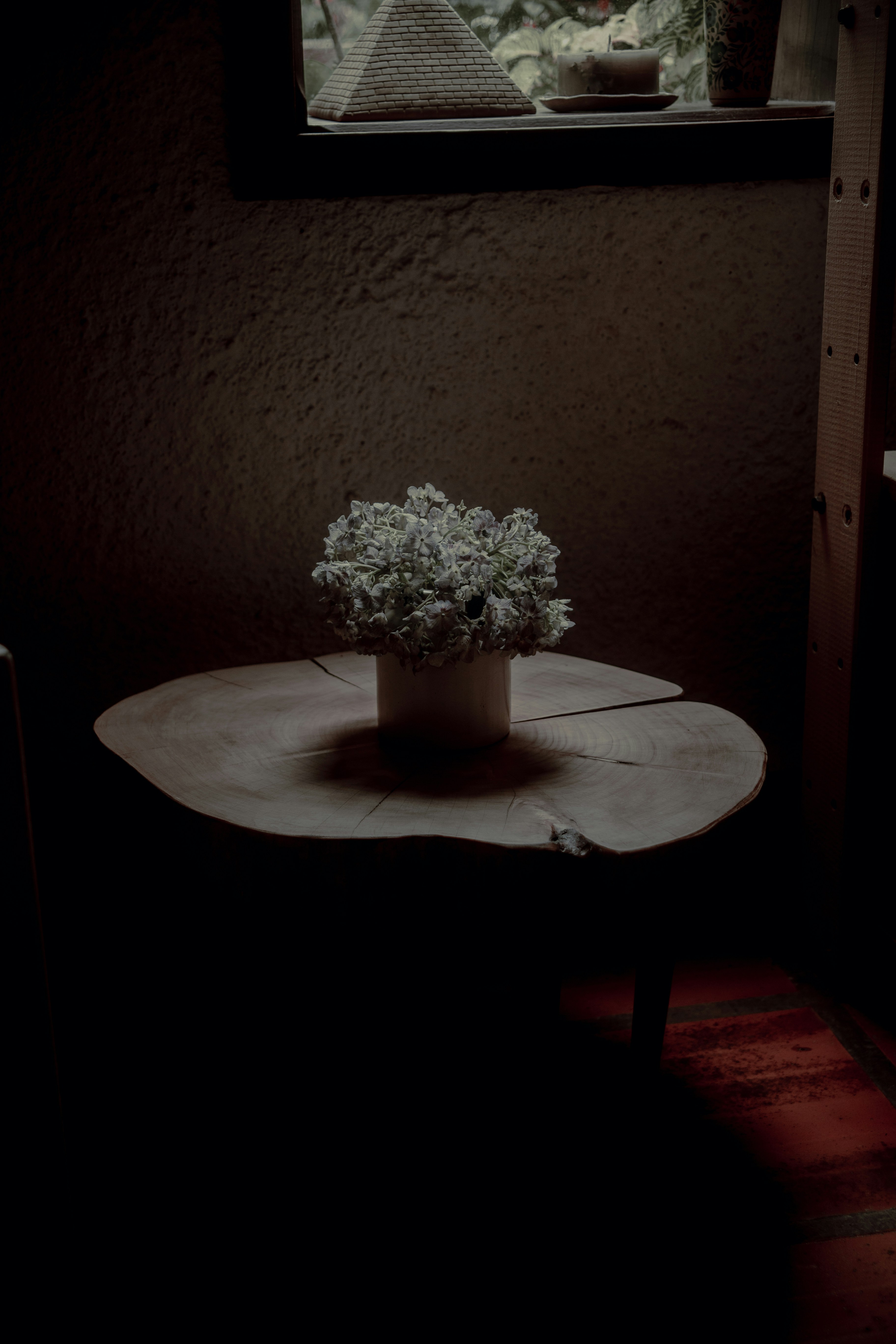 white flowers in brown ceramic vase on brown wooden table