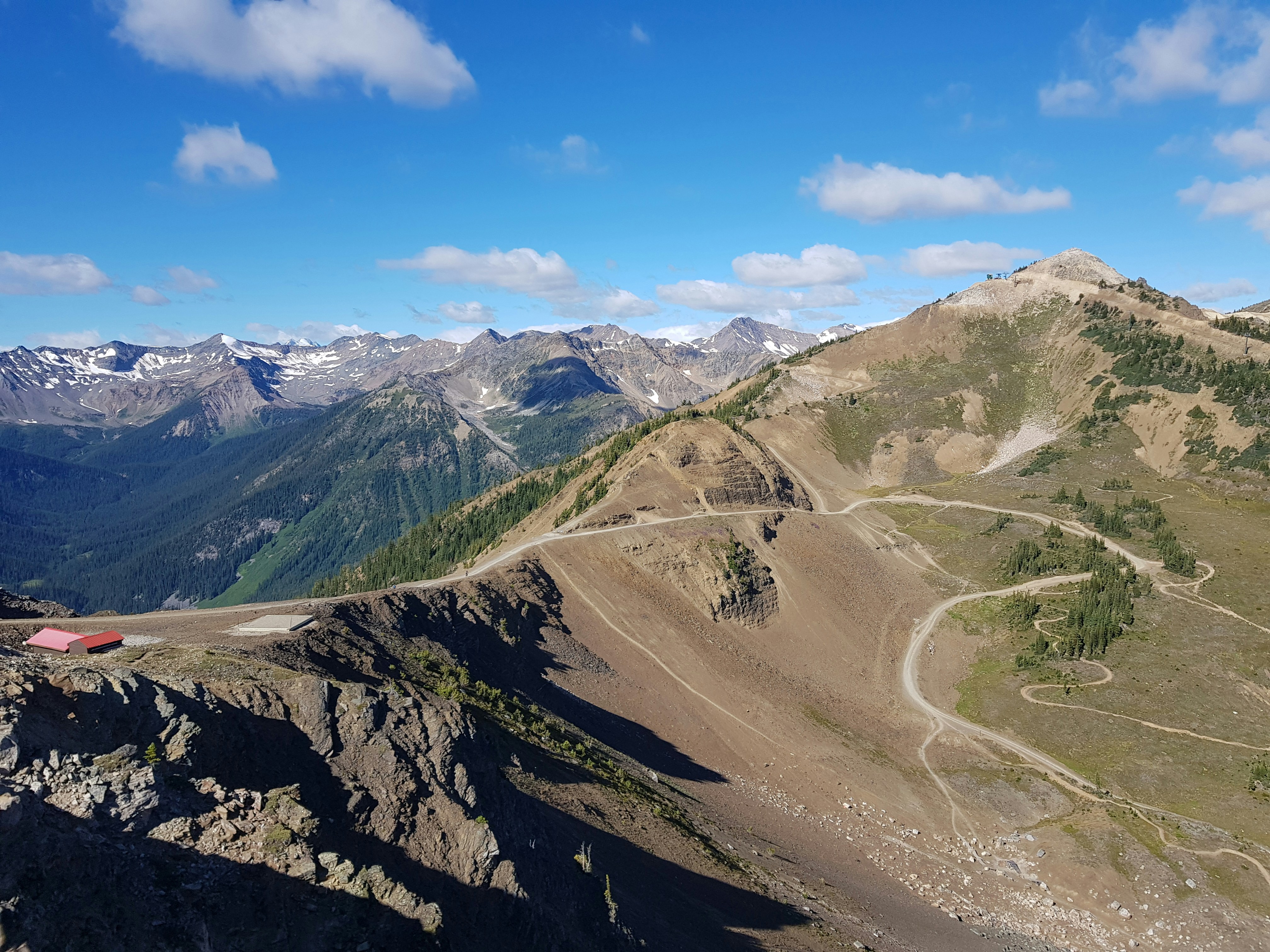 Winding Trails Through Alpine Heights