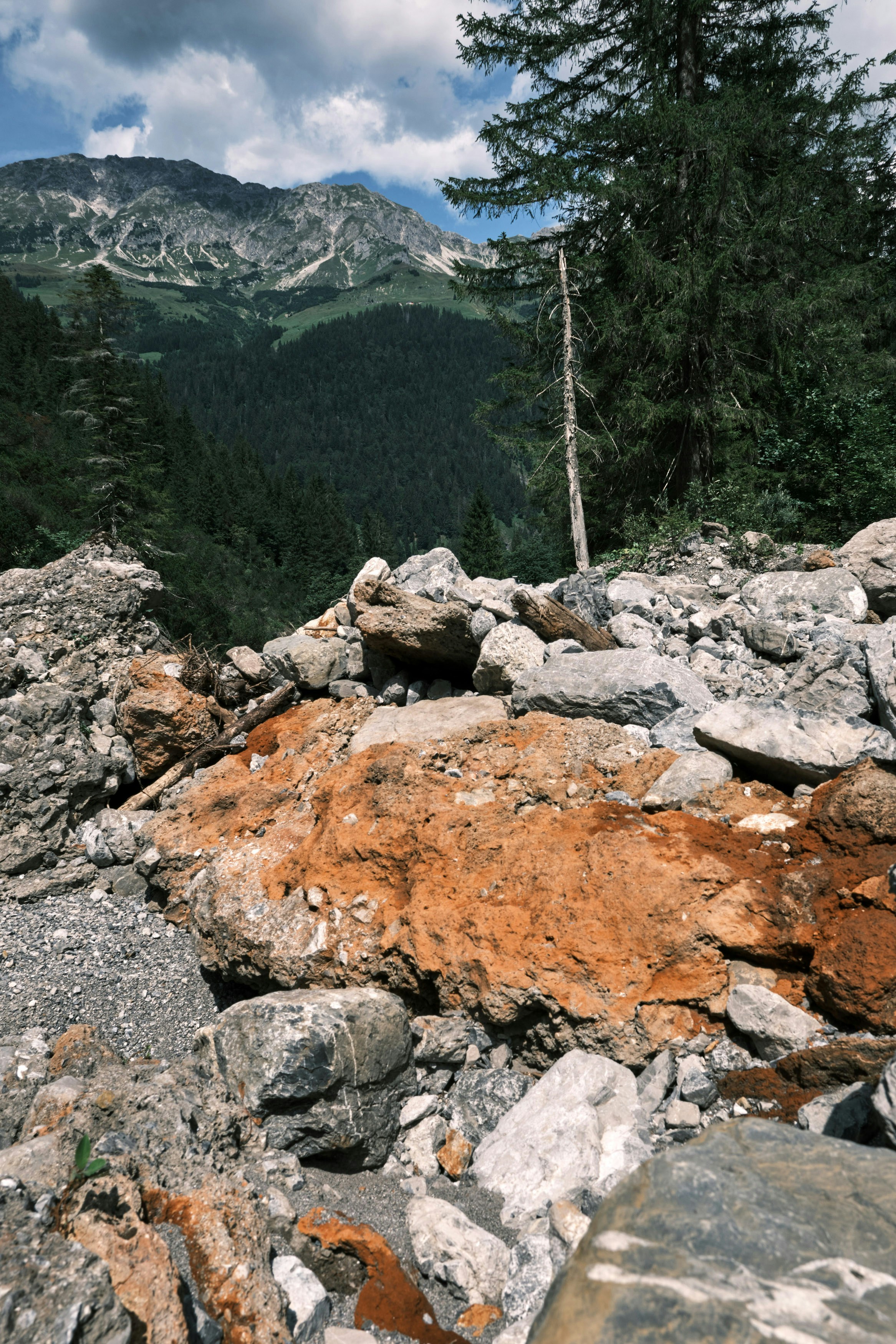 Vivid orange and gray rocks scattered across a mountainous landscape, with a backdrop of lush green forests and distant peaks under a partly cloudy sky.