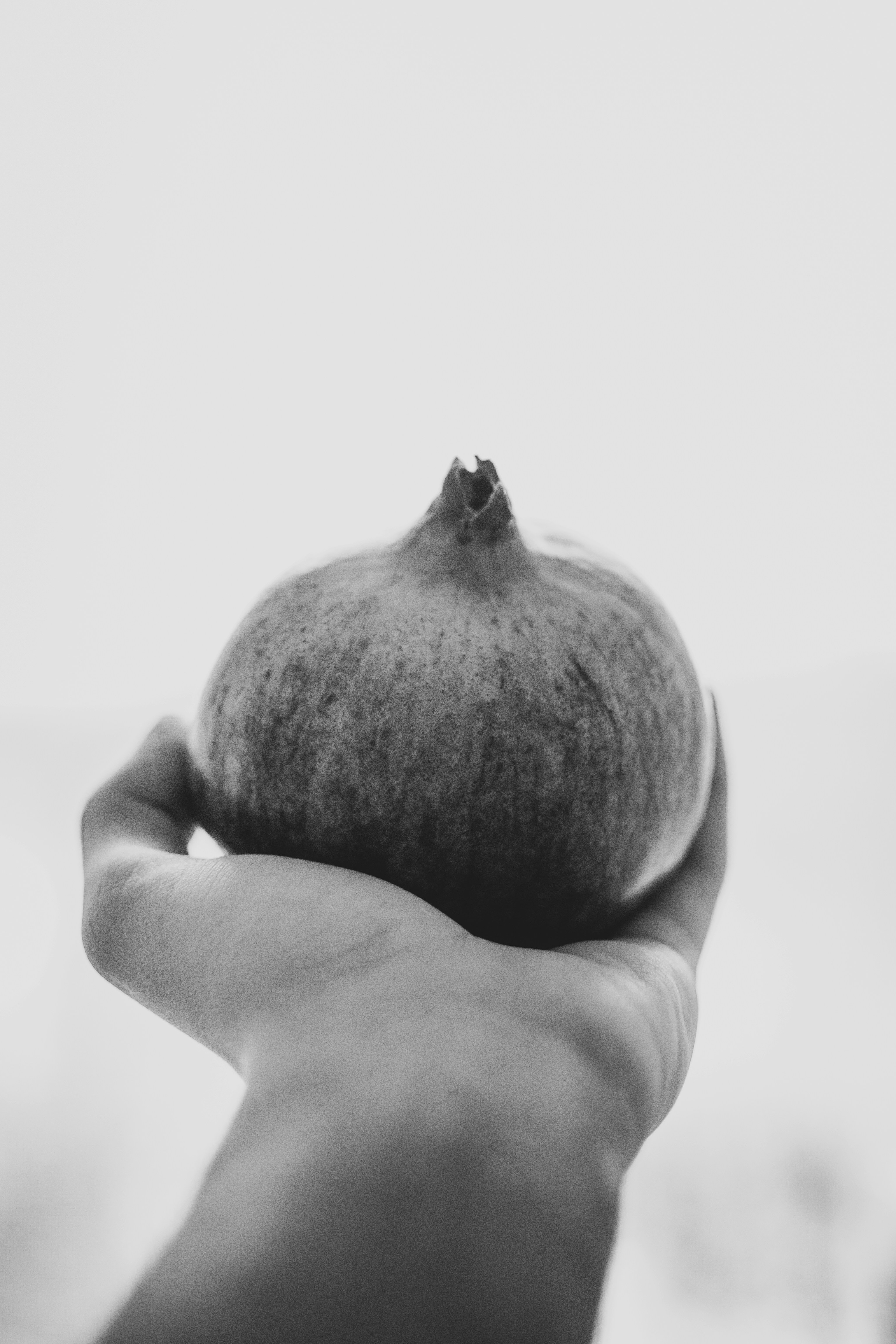 A hand gently cradles a pomegranate against a soft, blurred background, highlighting the fruit's unique texture and form.