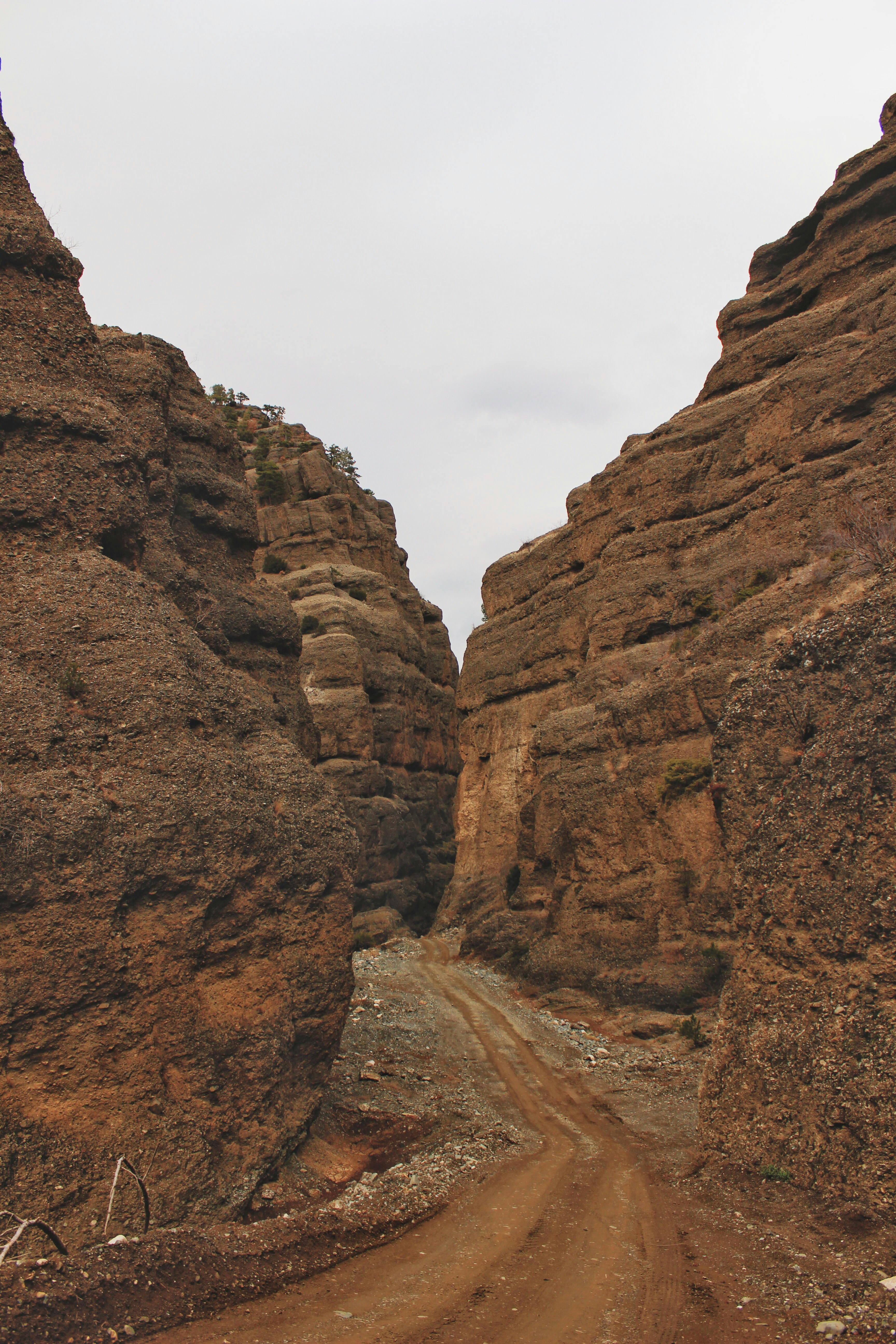 Gimkit - live learning game show