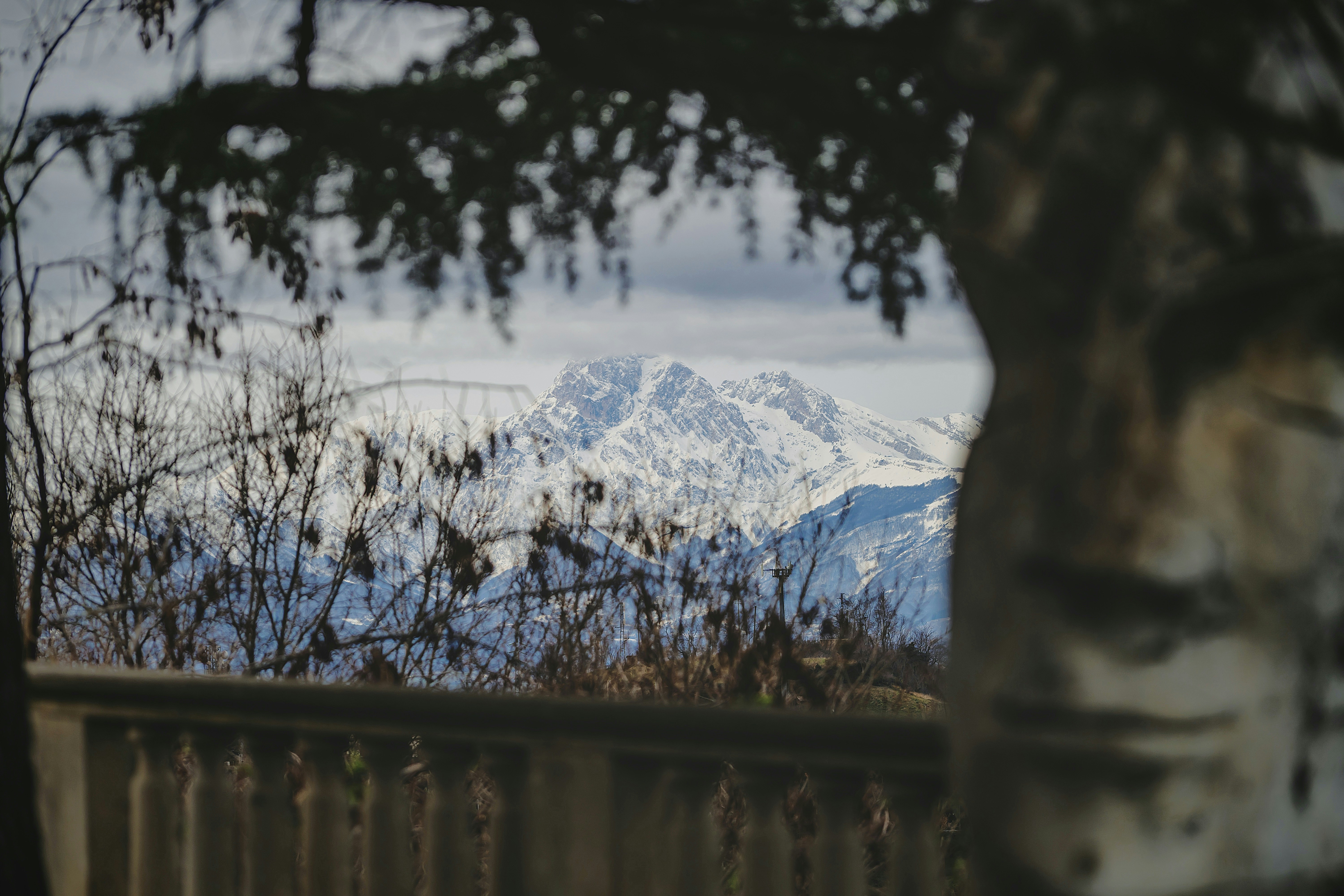 Snow-capped mountains viewed through tree branches and a wooden fence.
