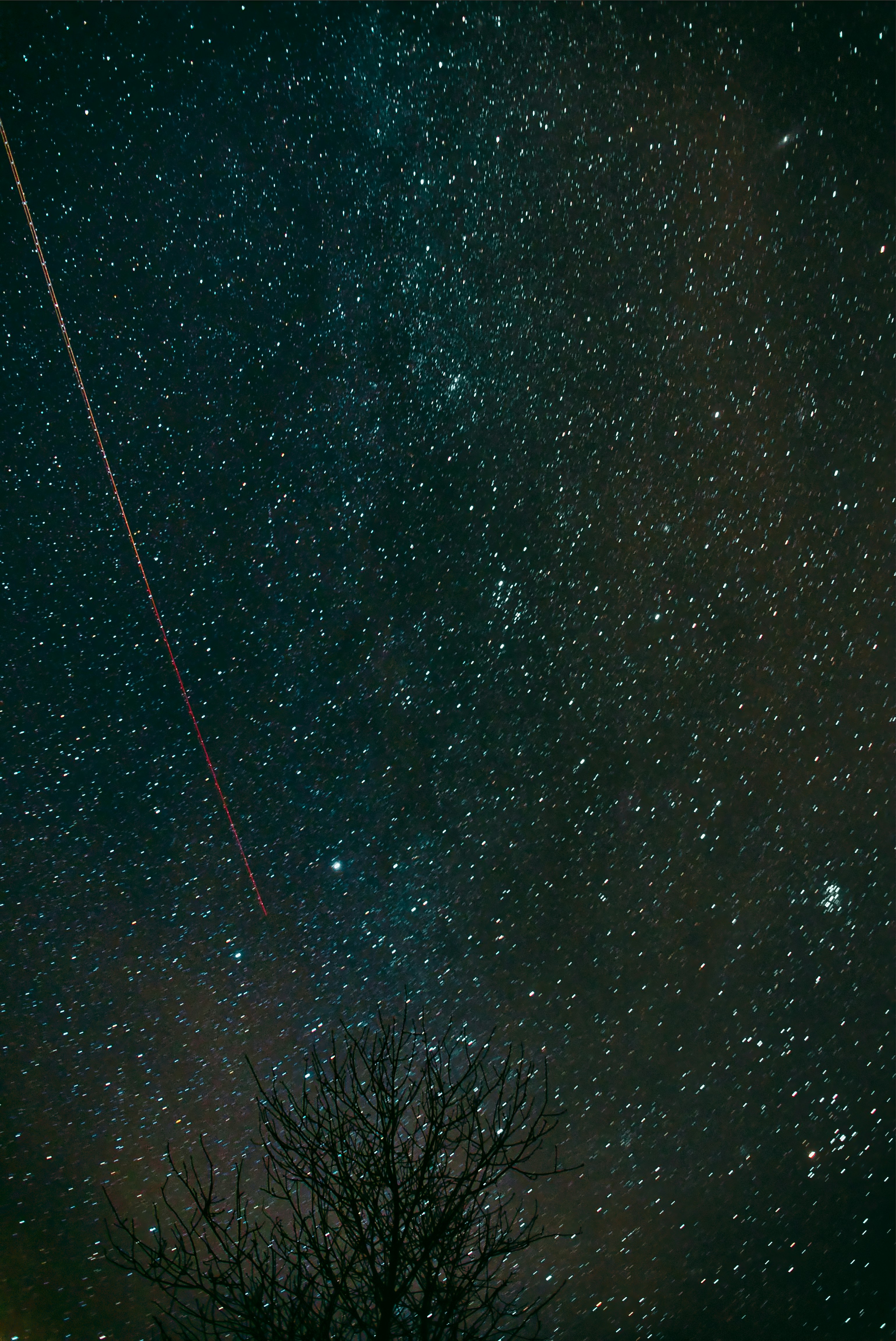 Crimson Meteor Across a Velvet Starfield Over Bare Tree Silhouettes