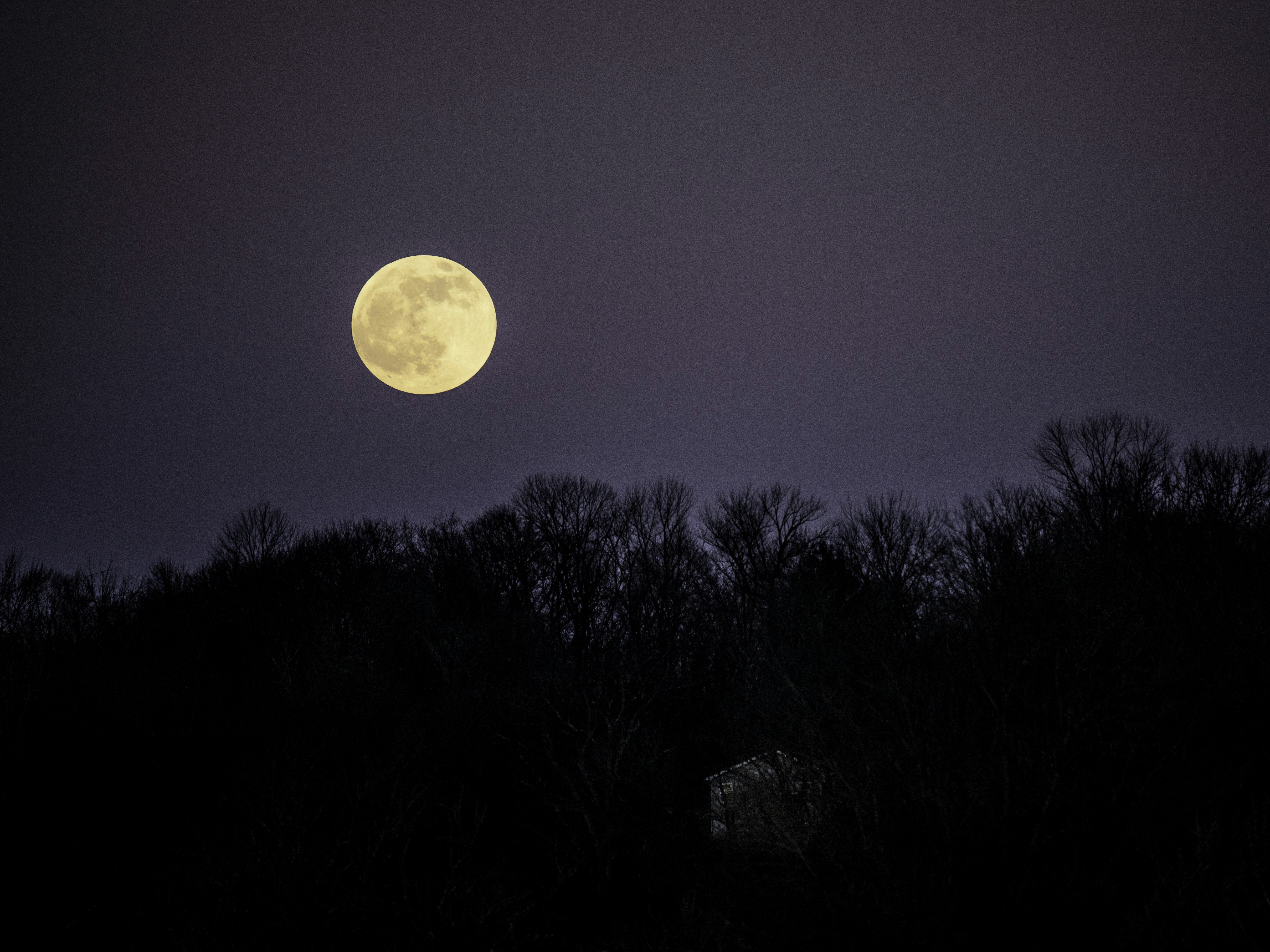 Moon Shot - by Laura Ann Long - Three Score Years and Ten