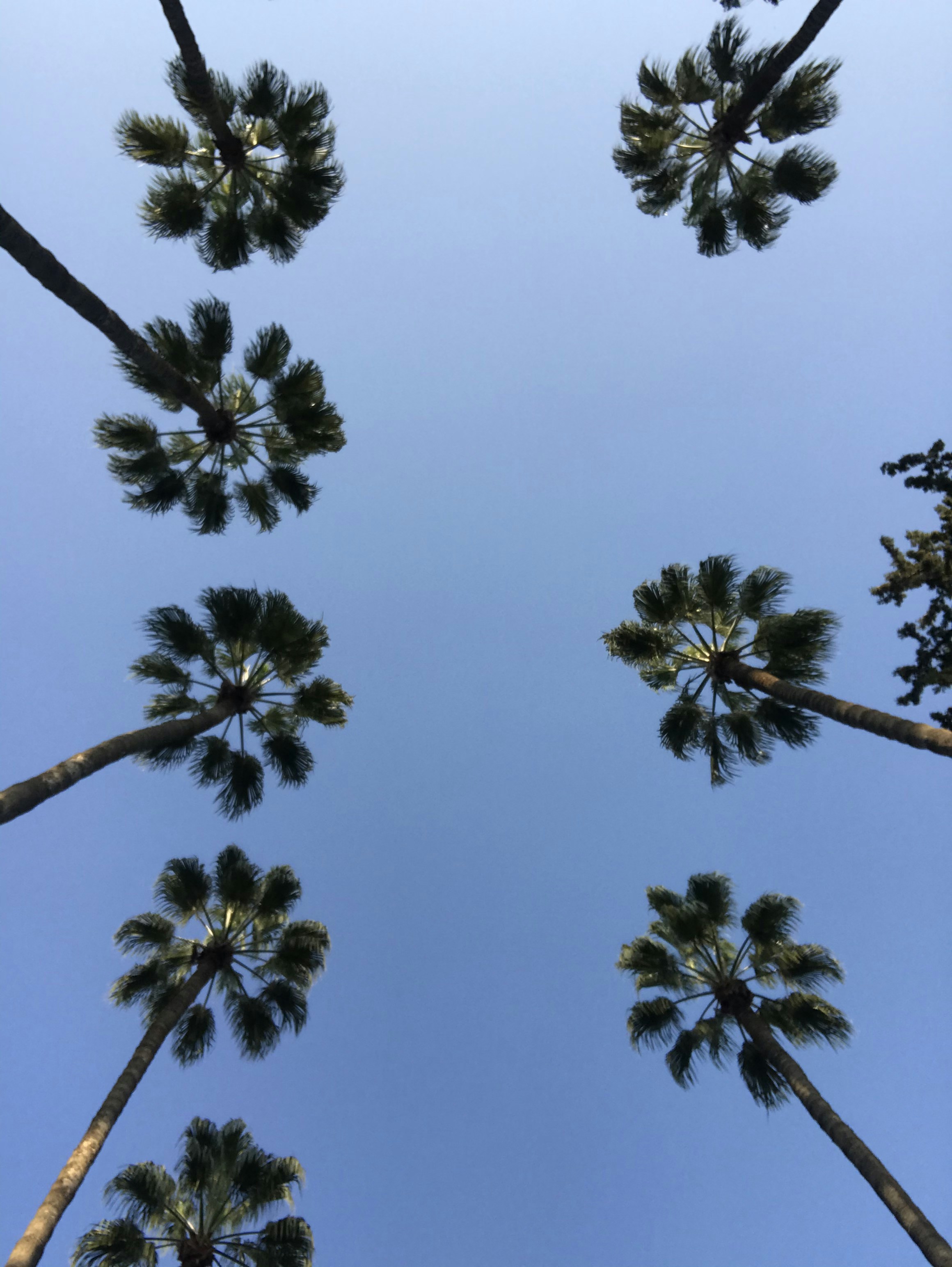 Photo by Serhan Anbarcı with Apple iPhone 7 Plus