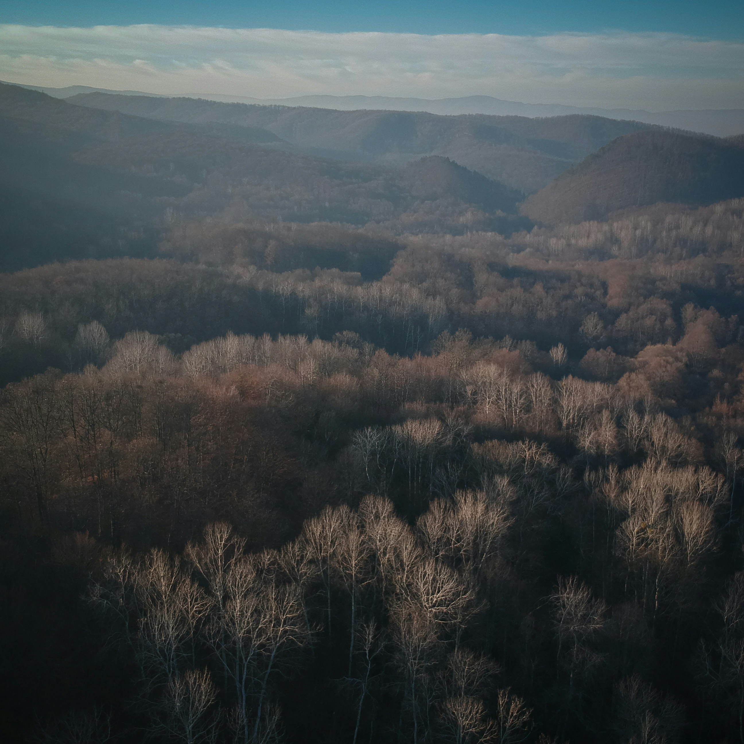 Mist-Laced ridges: a drone's hush over a leafless forest