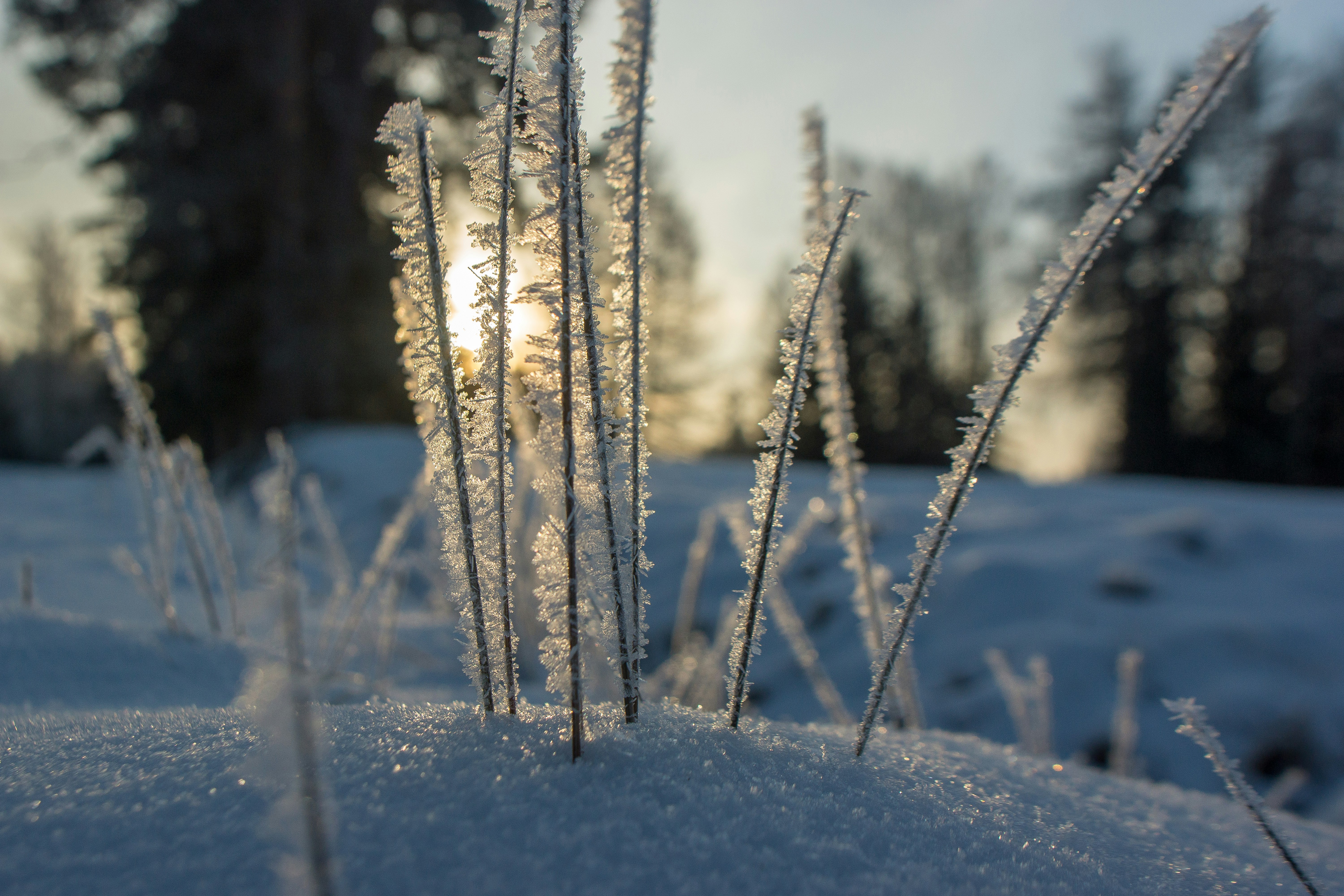 Best 500+ Noon Pictures | Download Free Images on Unsplash