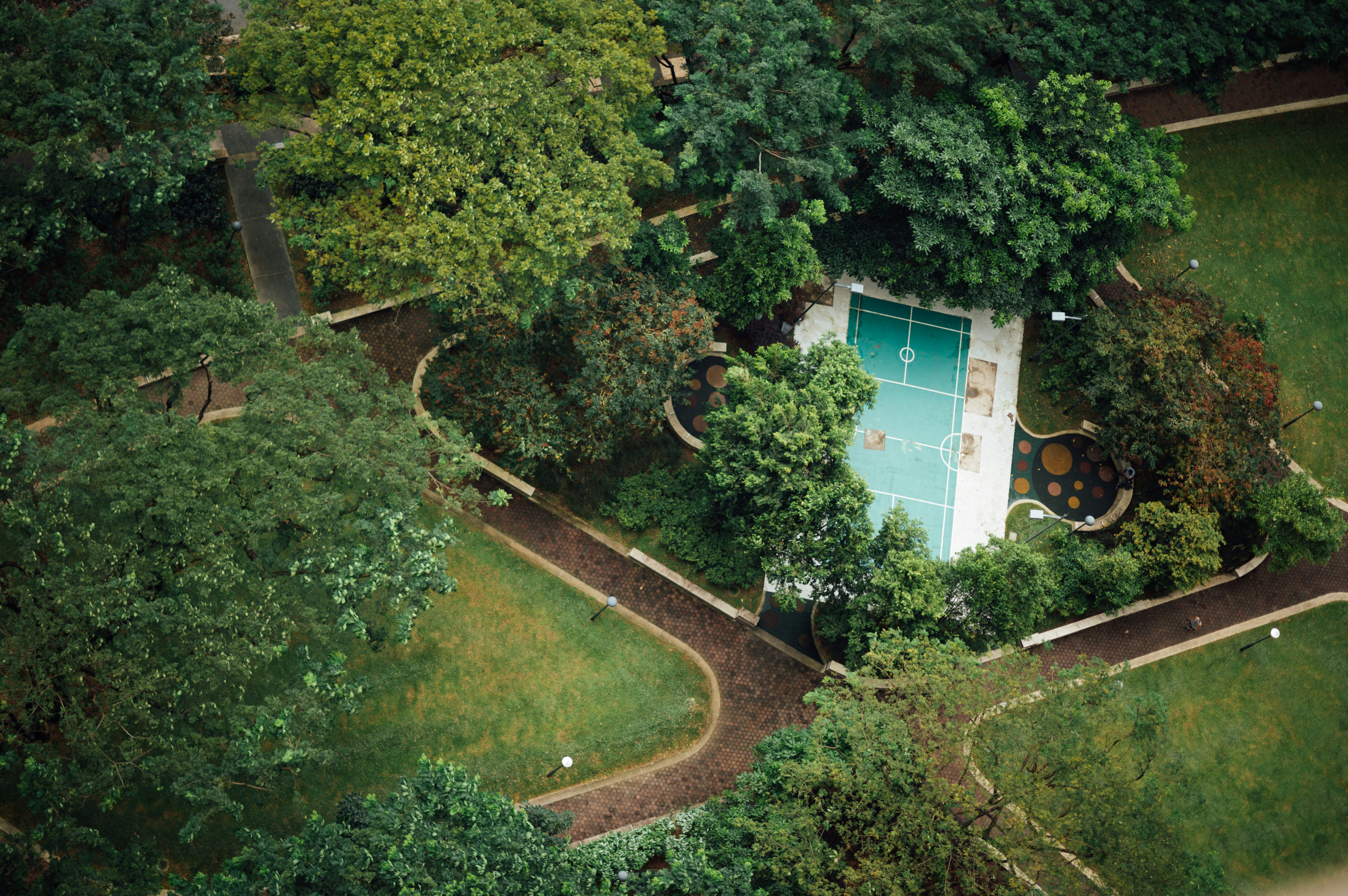aerial view of green trees and green grass fieldCHUTTERSNAP