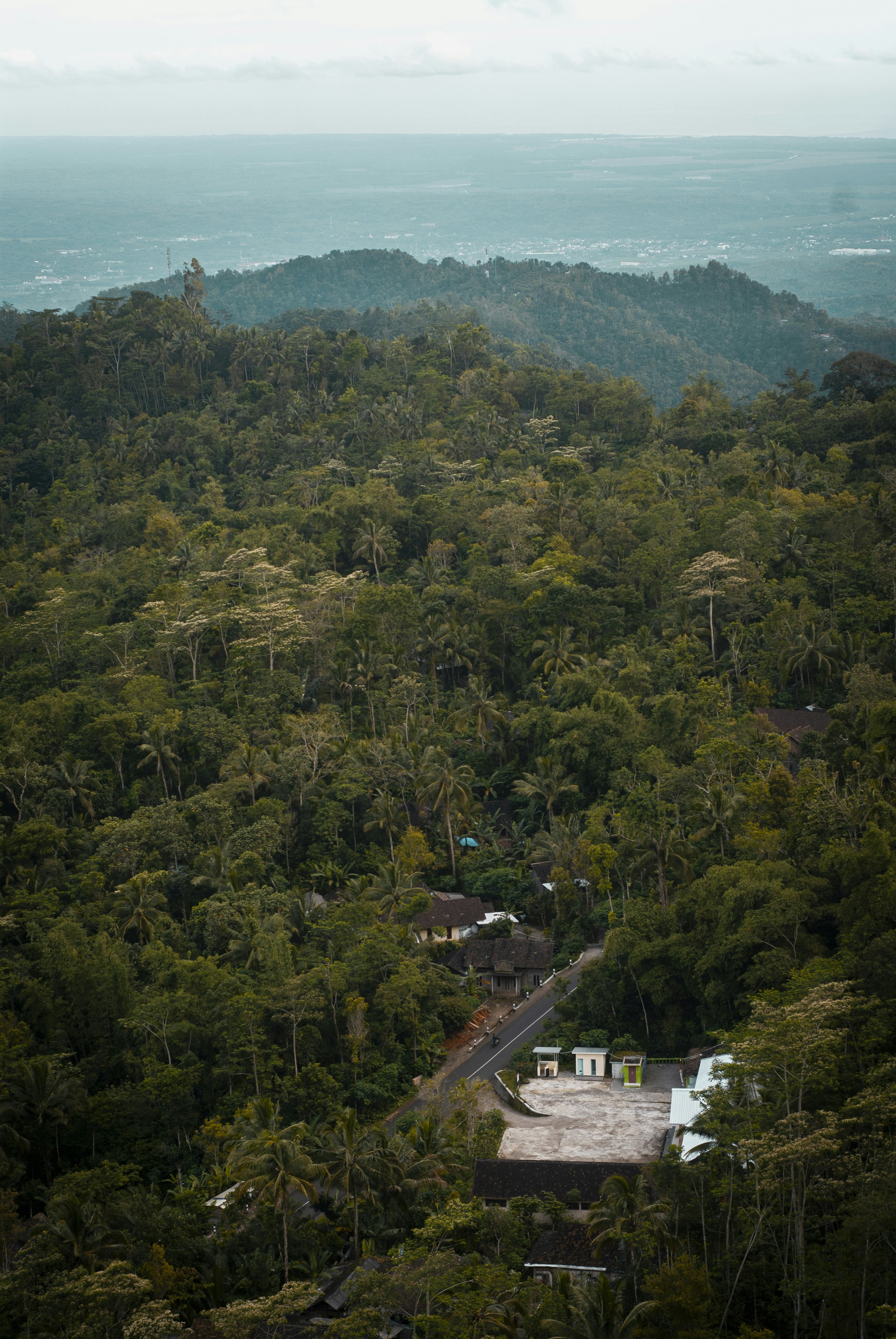 Aerial view of lush tropical forest with a winding road and a small clearing featuring a white structure. The horizon showcases distant mountains under a cloudy sky.