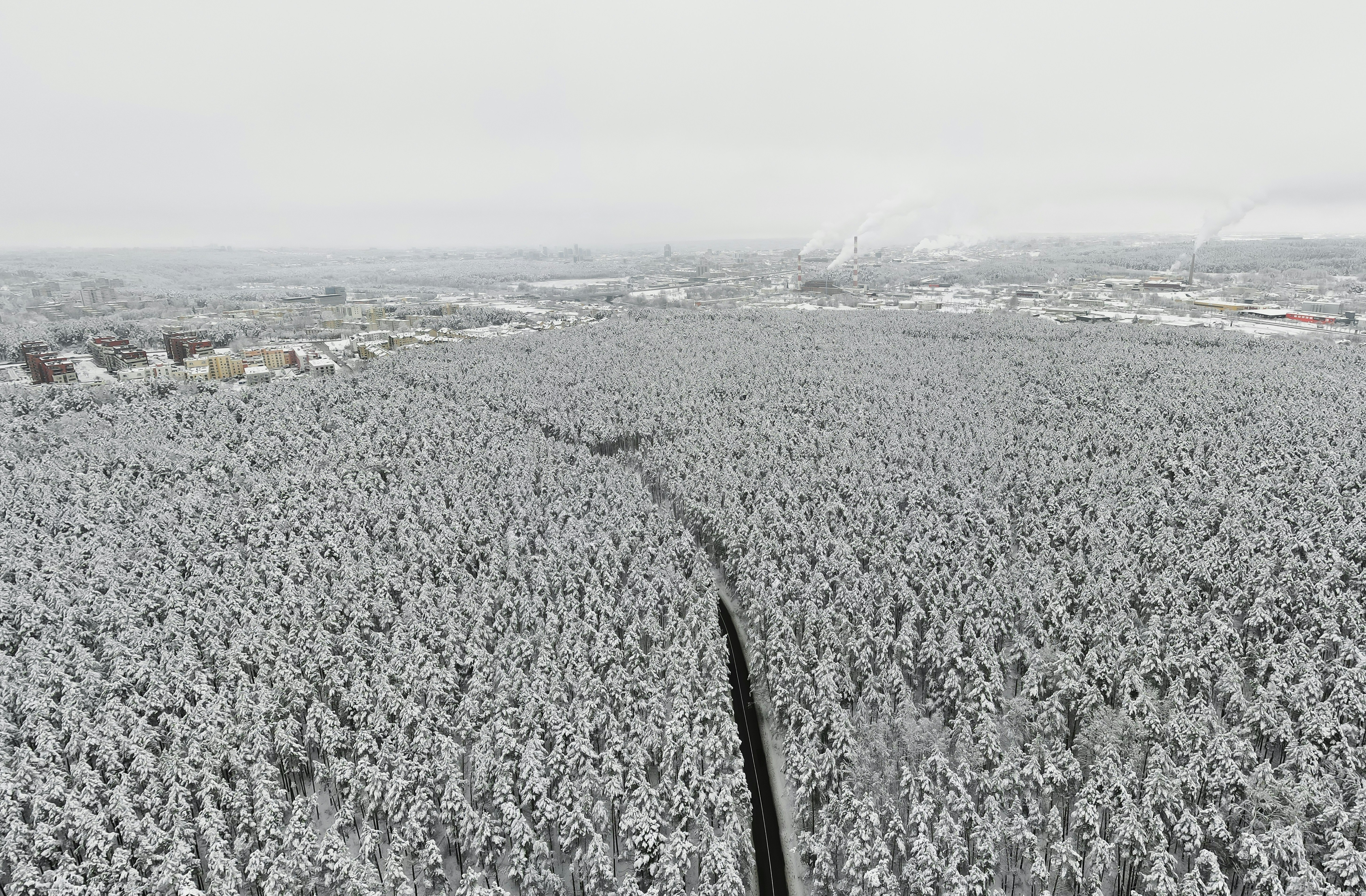white snow covered ground under white sky during daytime