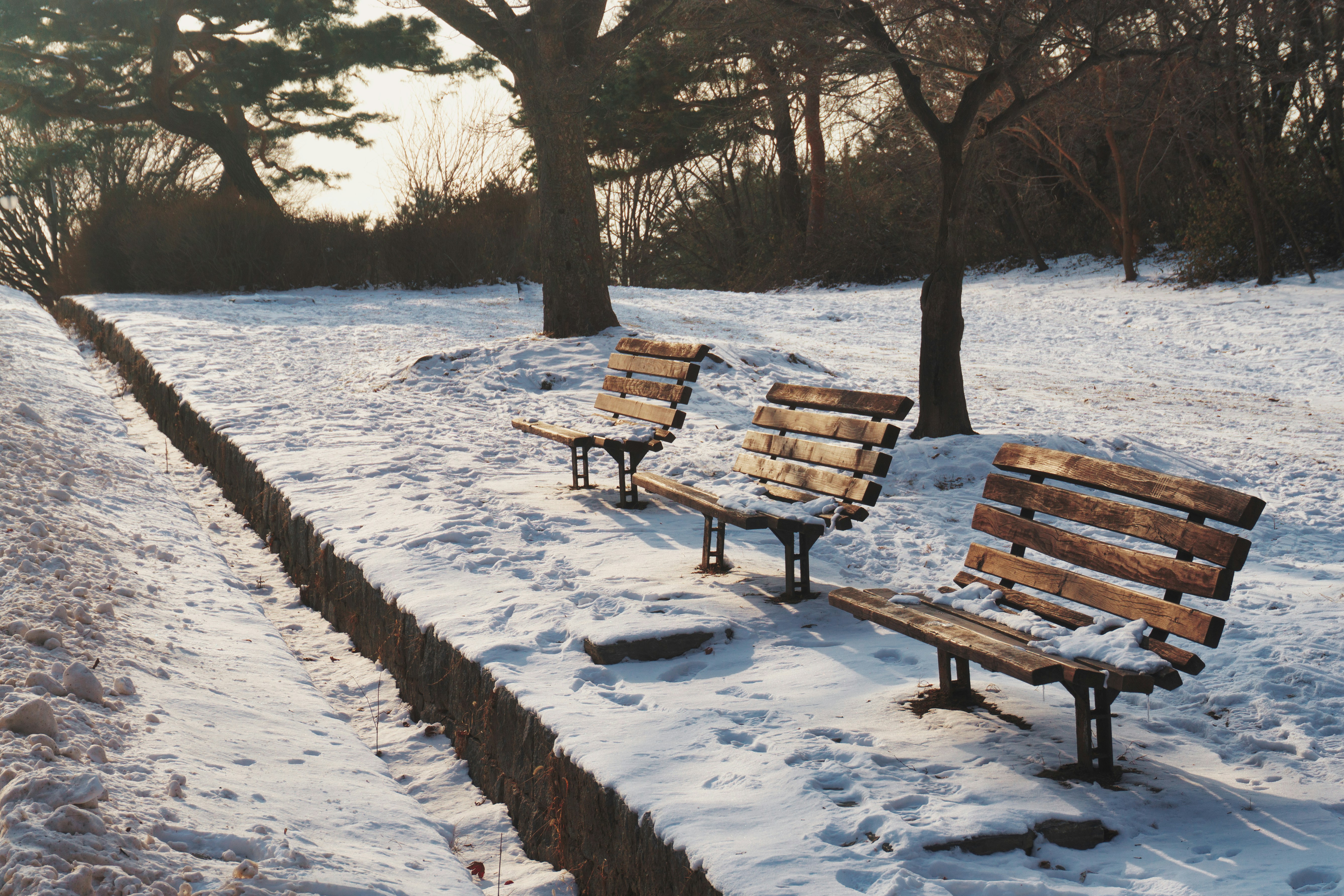 Snowbound bench Row Under Winter Sky
