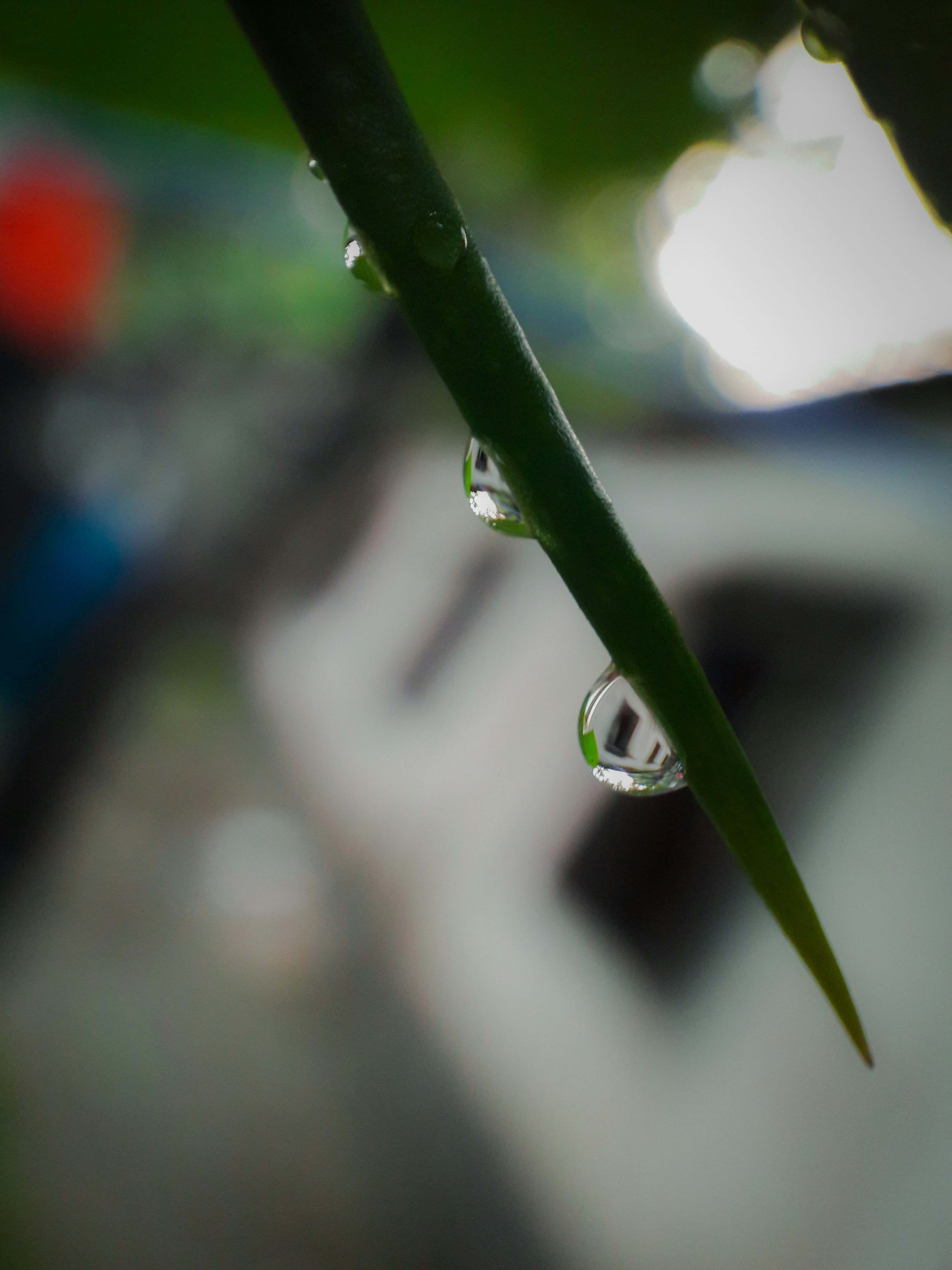 Md. Emran Hossain (@emran407) | Comunidade de fotos da Unsplash