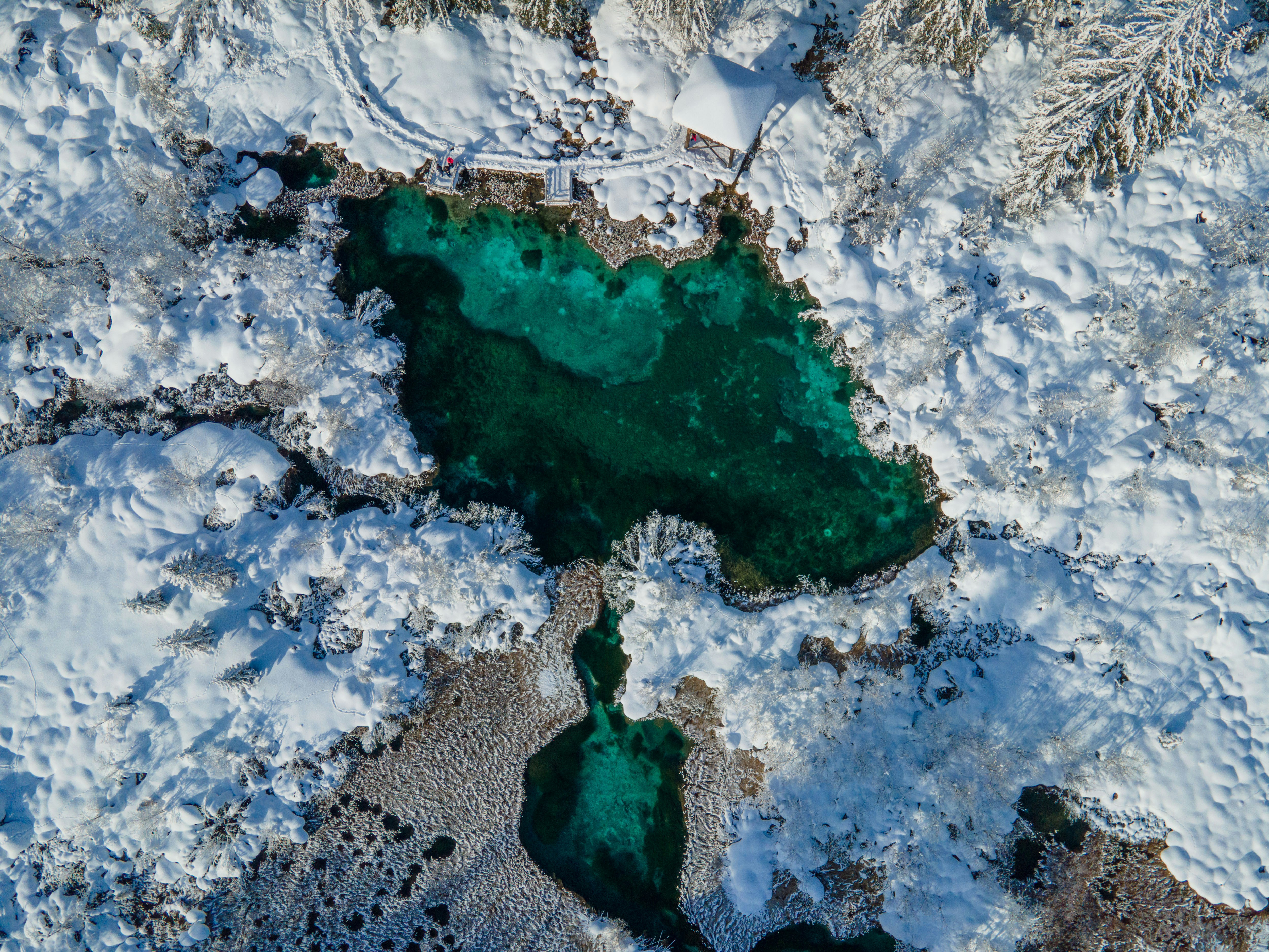 Lago Zelenci Fotos | Baixe imagens gratuitas na Unsplash