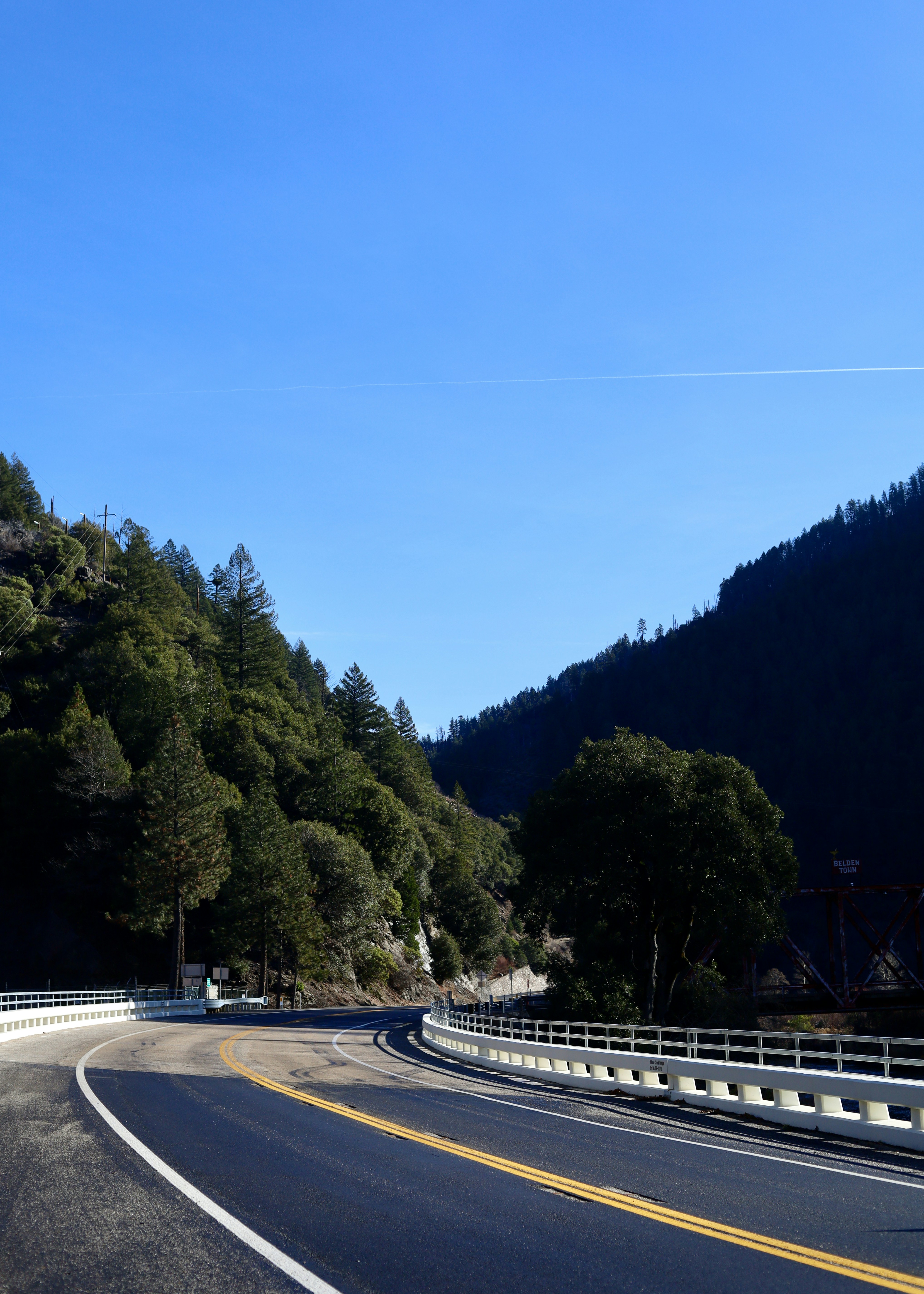 Winding Ridge Road Through Pines Beneath an Alpine Sky