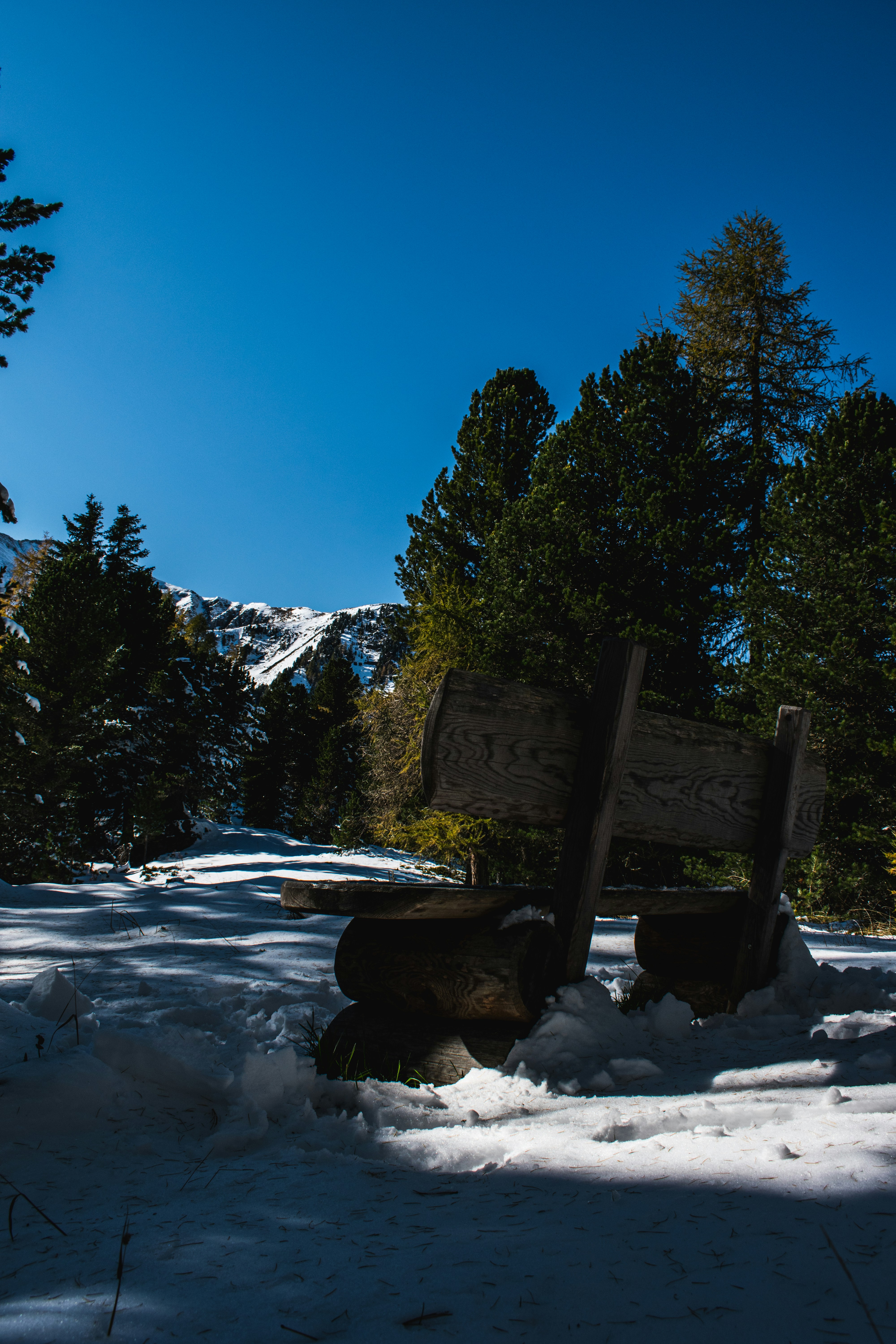 Snowy Forest Bench Under a Clear Blue Sky