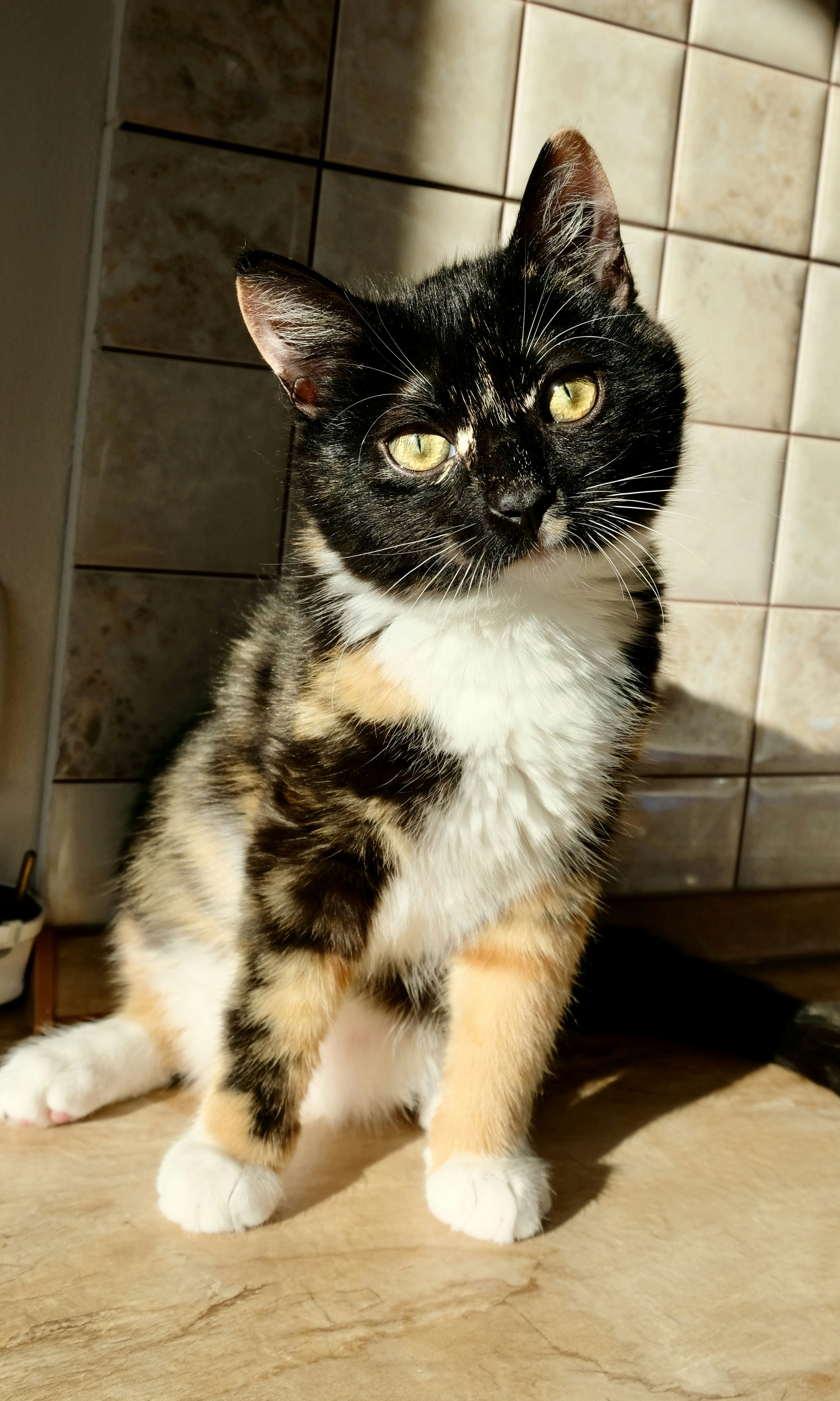 Radu Spătaru (@spataru) | Unsplash Photo Community