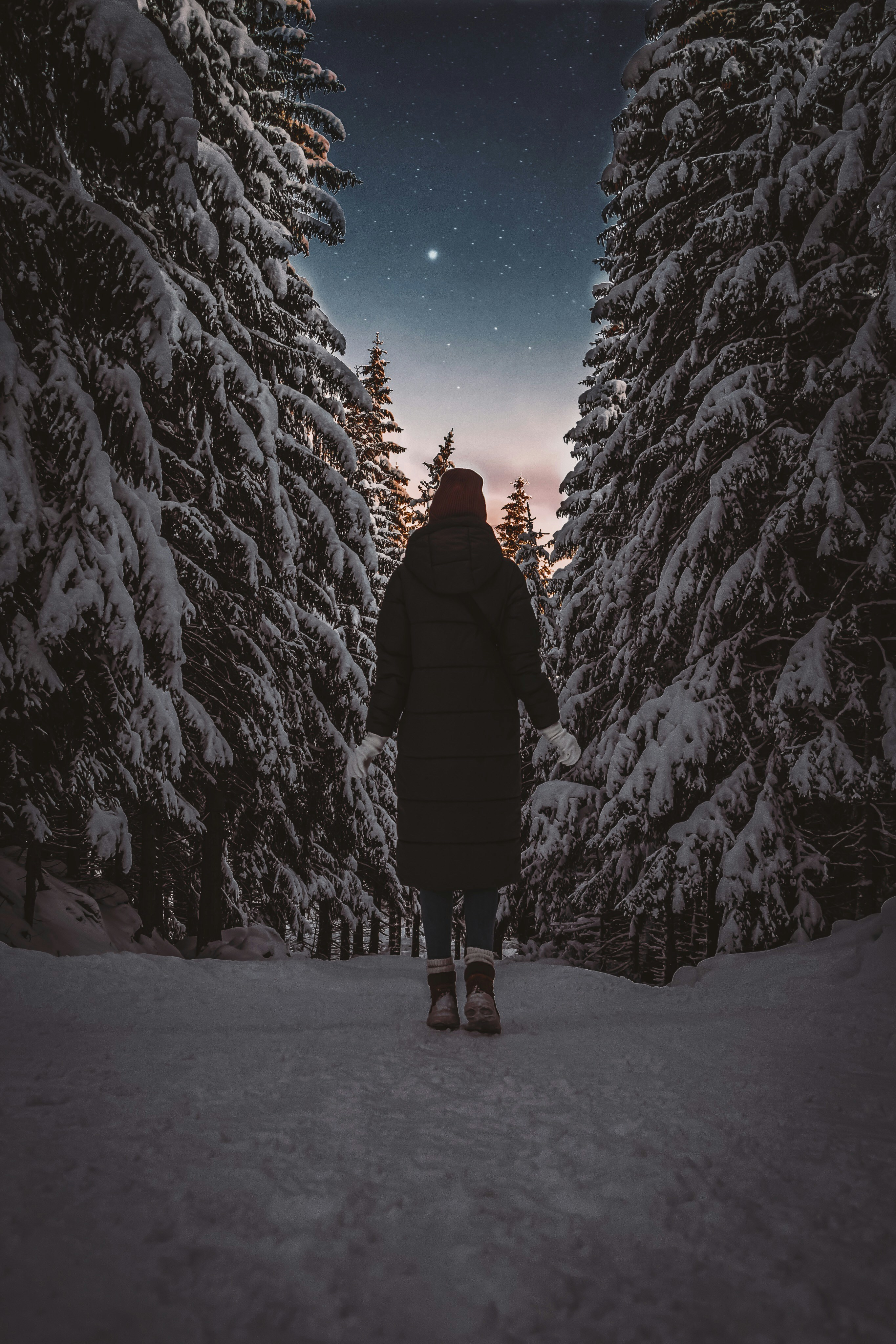 Figure in a black coat walks through a snow-laden forest under a starry twilight sky.