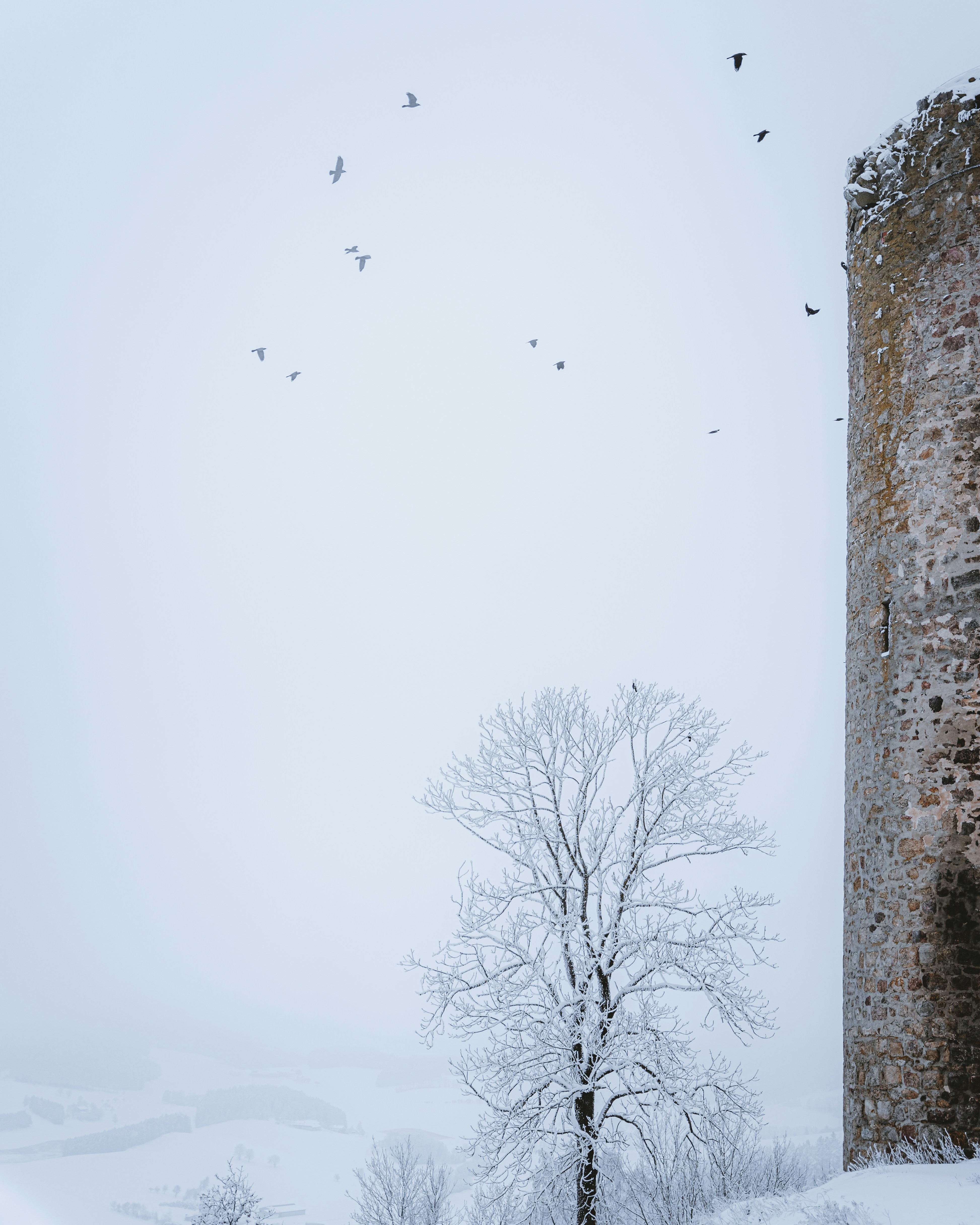 Snow-covered tree stands beside an ancient stone tower, with birds flying in a misty sky. The scene evokes a tranquil winter atmosphere.