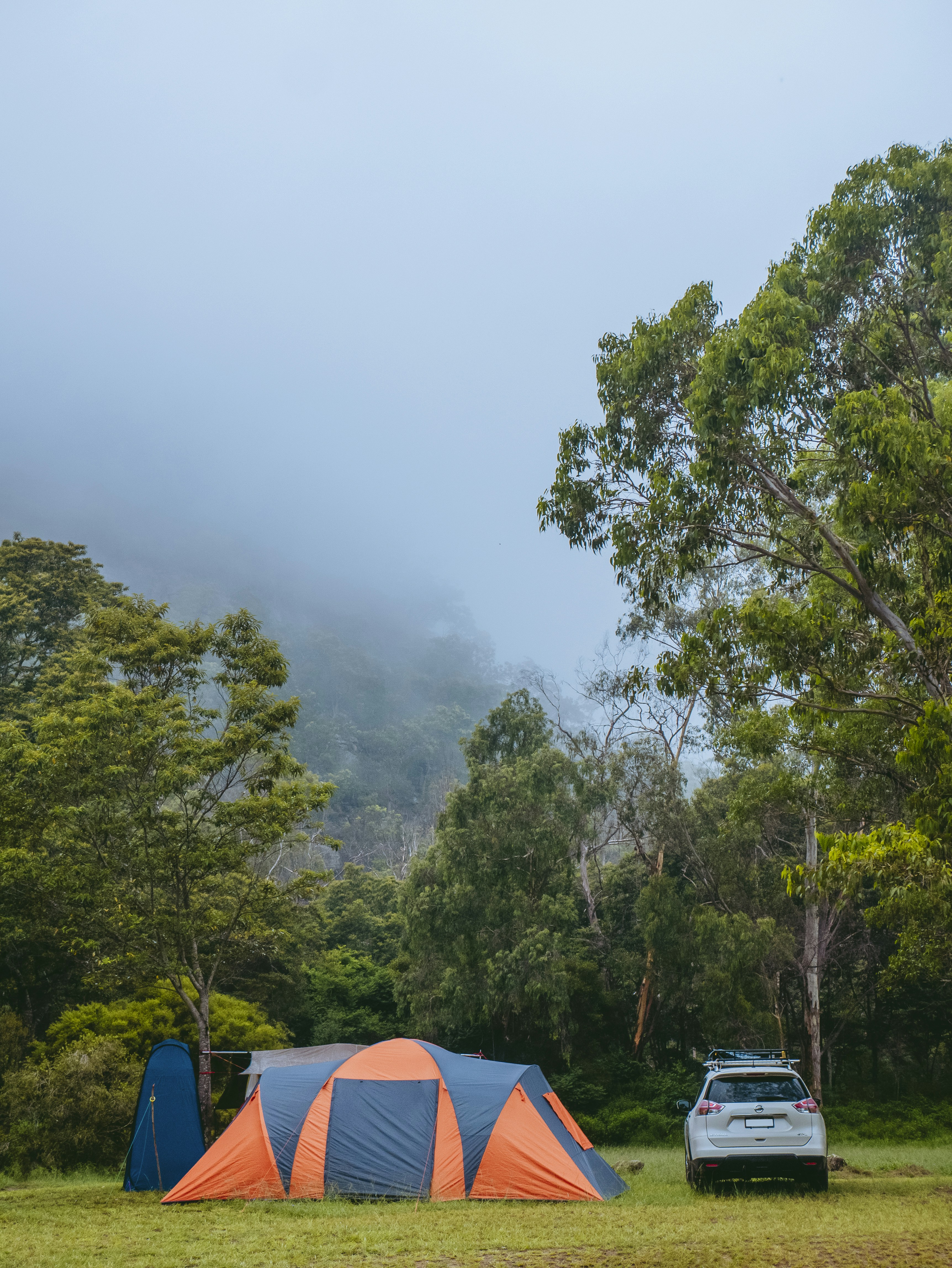Orange Tent Anchored in Morning Fog by a Quiet Forest Clearing