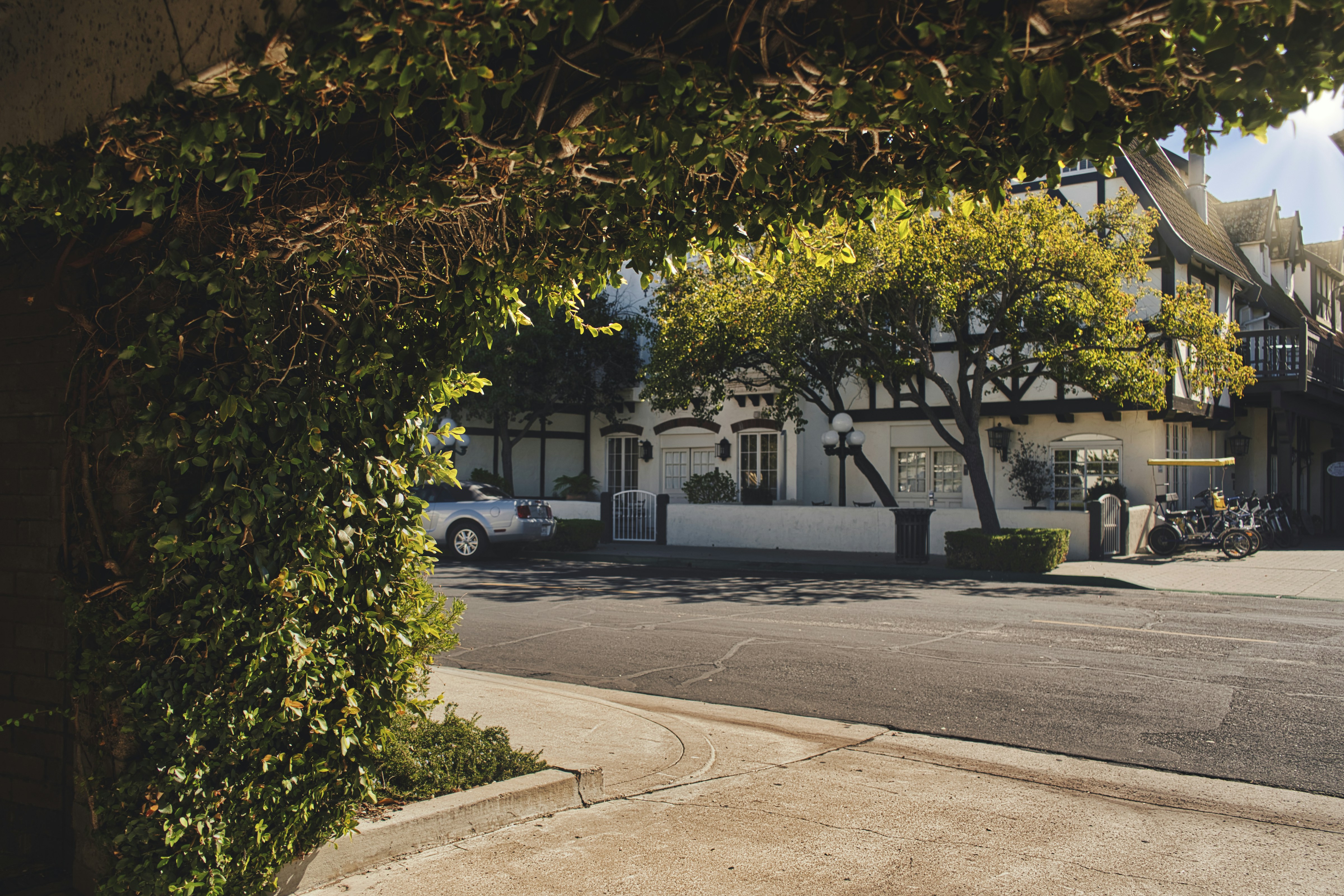 Black SUV parked beneath a lush green tree near a modern building during daytime.