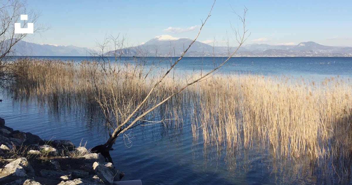 Brown Grass Near Body Of Water During Daytime Photo Free Lago Di