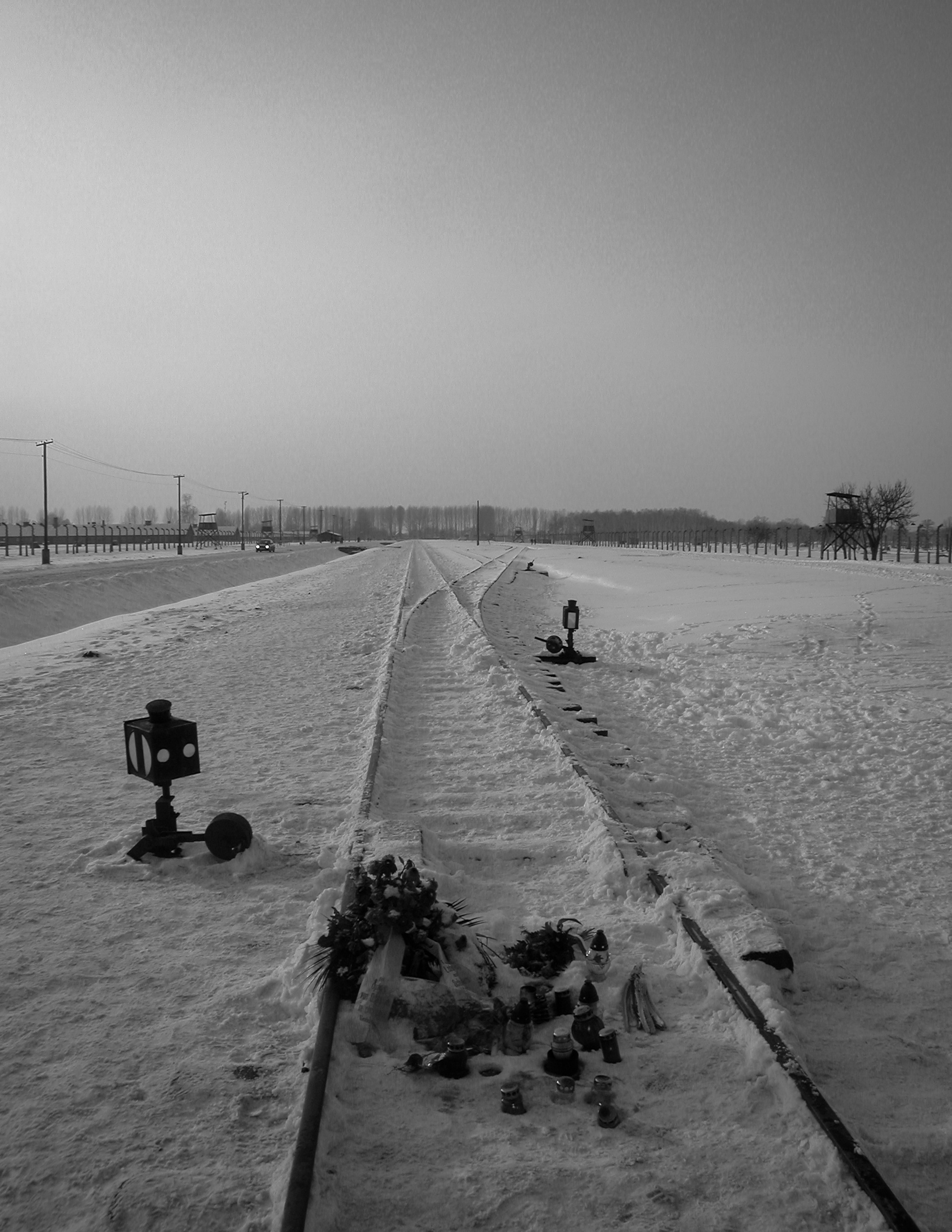 Monochrome photograph of snow-covered railroad tracks stretching toward the horizon. A small memorial of flowers and candles sits beside the rails, adding a quiet focal point in the winter landscape.