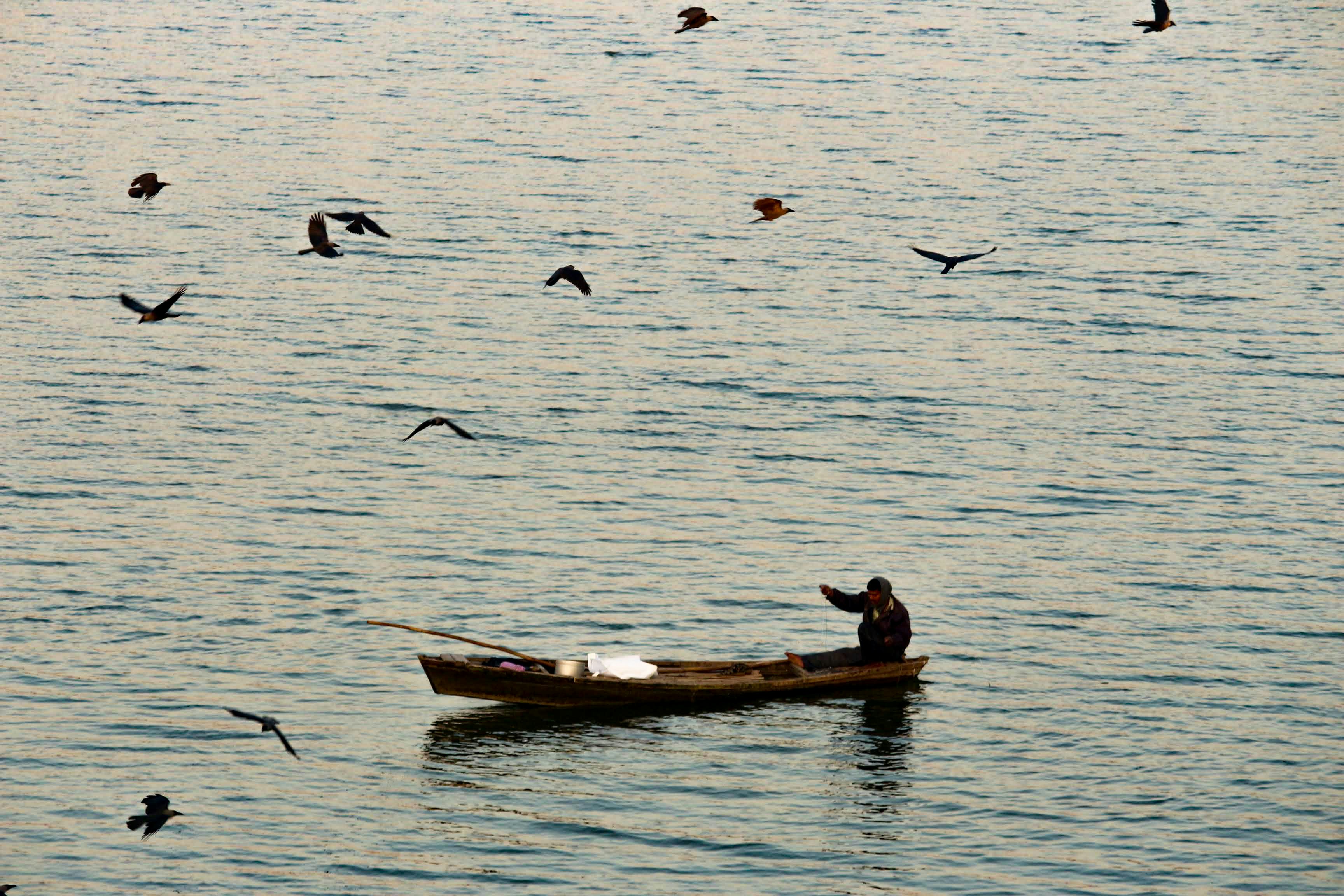 A lone fisherman in a small boat casts his line amidst a flock of birds soaring above the tranquil waters. The scene encapsulates the serene relationship between man and nature.