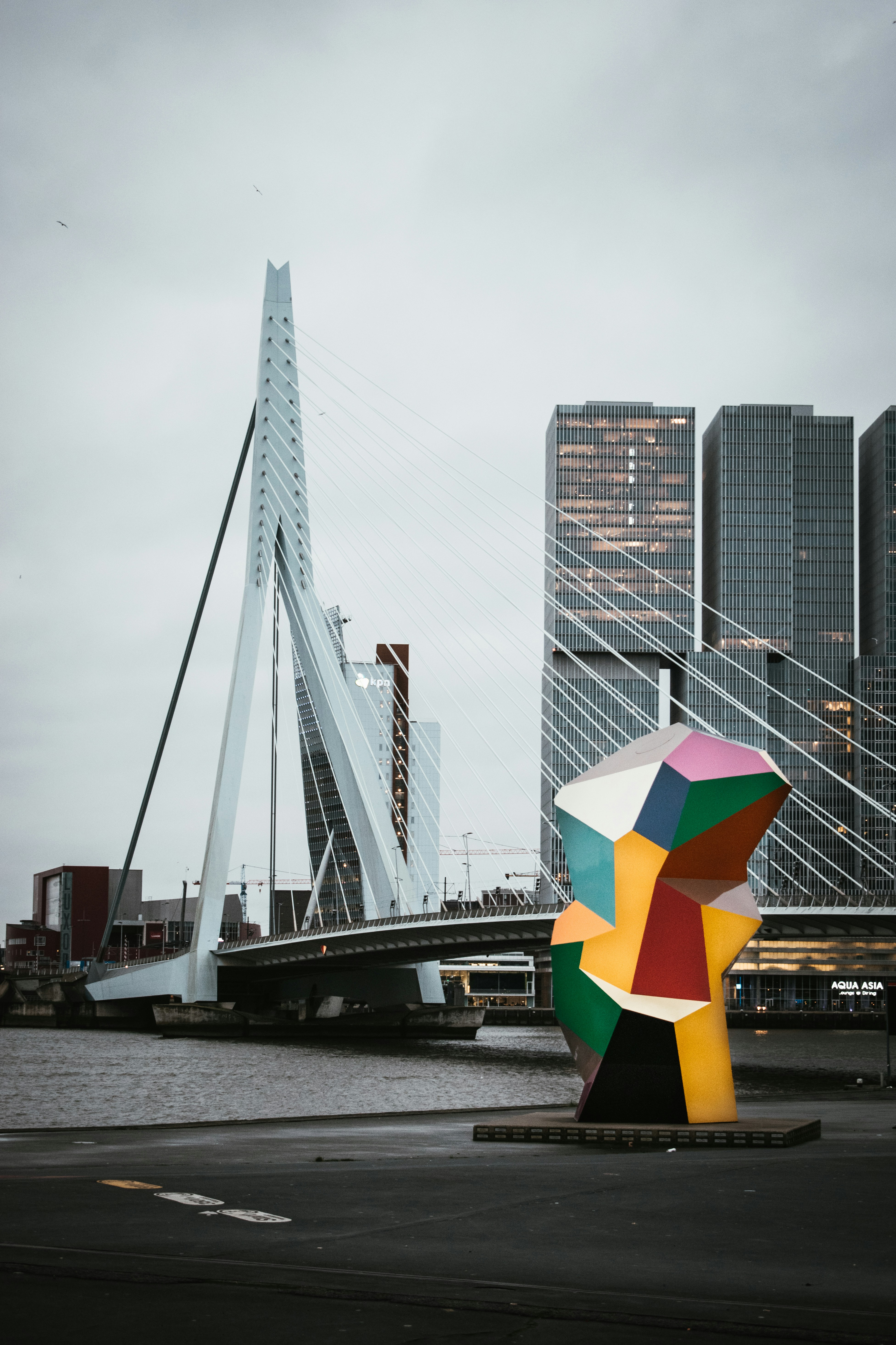 Prismatic Figure Framing Rotterdam's Erasmus Bridge