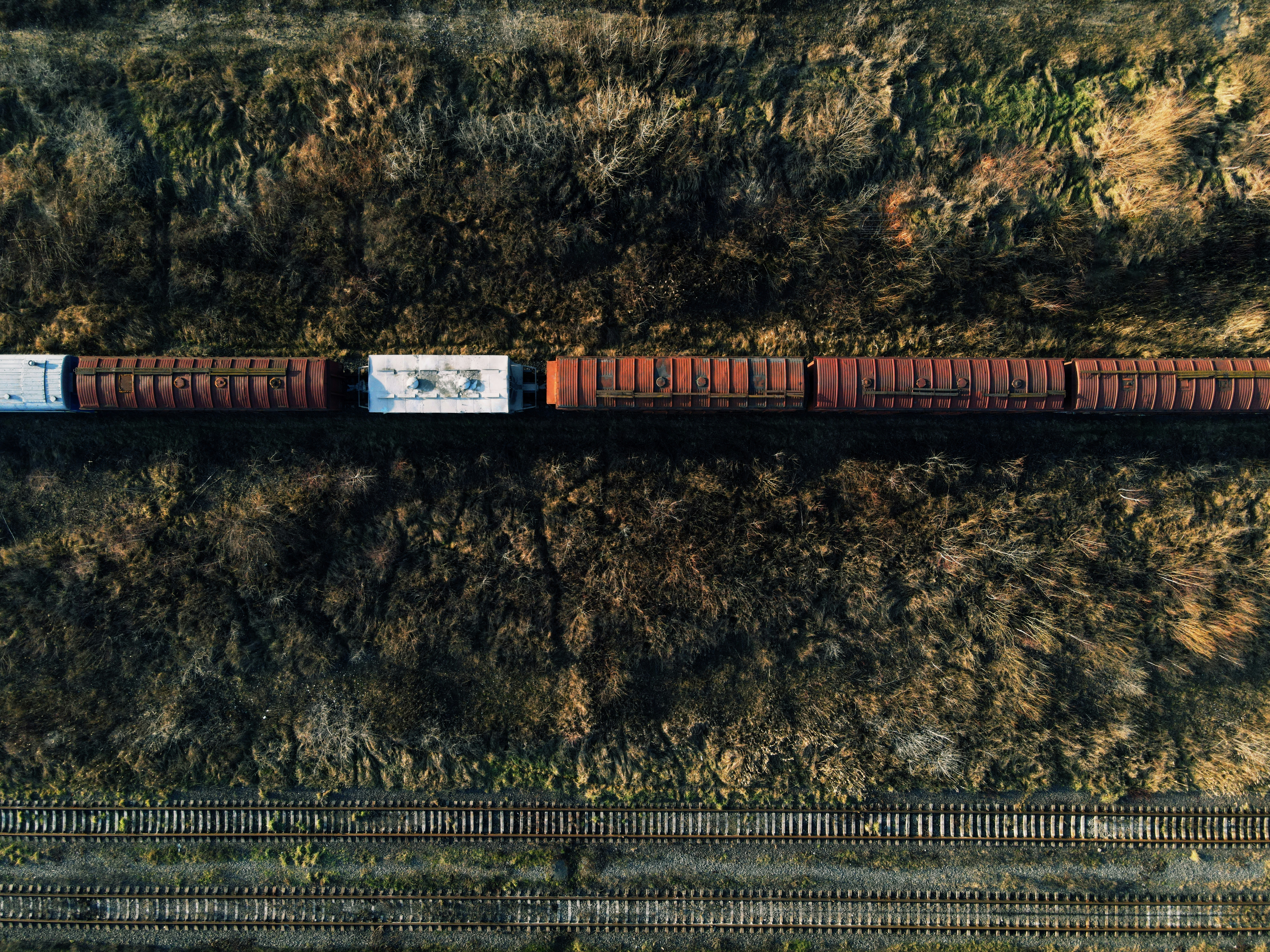 Aerial view of a train with rusted cars traversing through a landscape of overgrown vegetation and railway tracks.