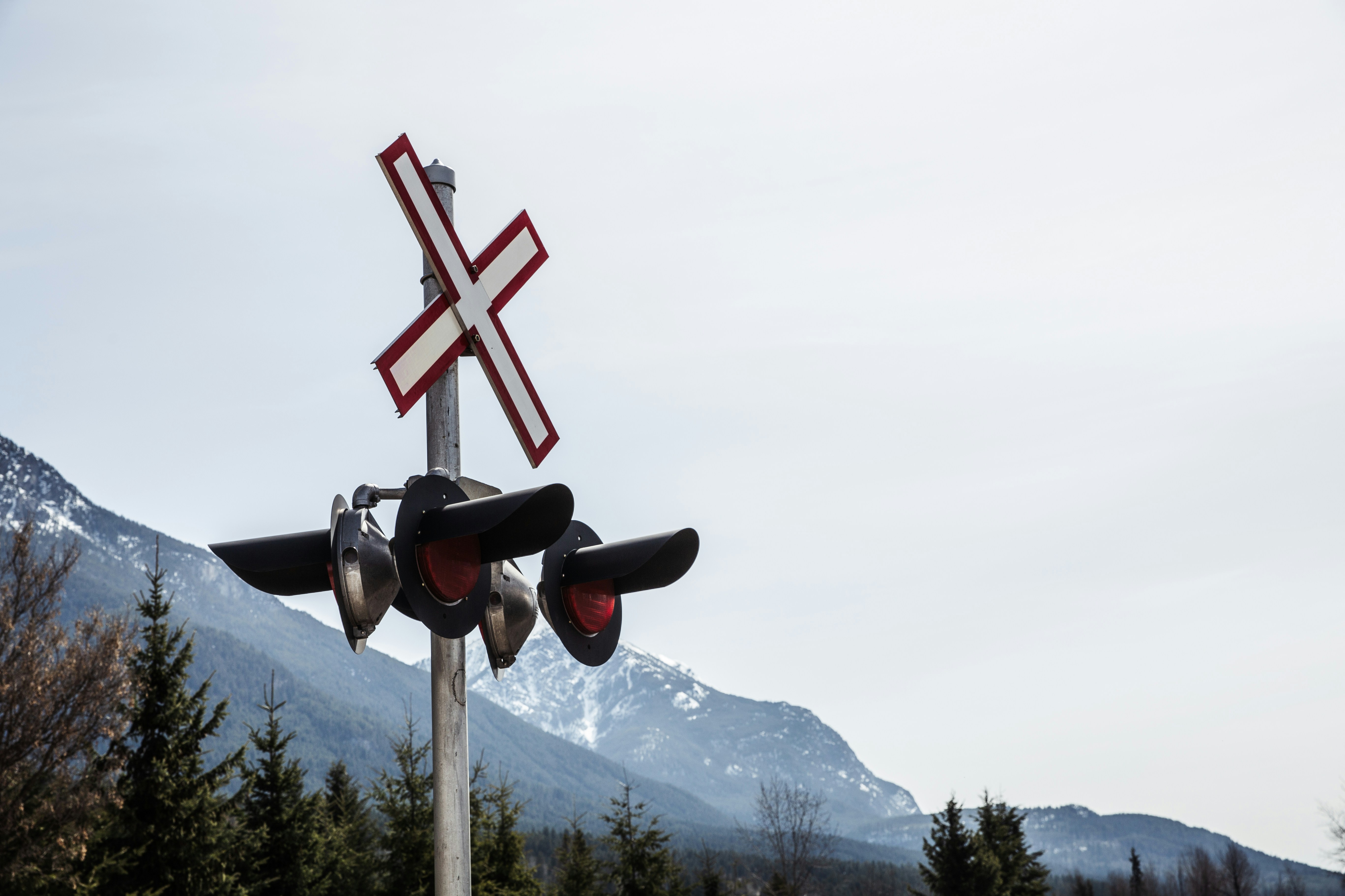 Alpine Crossbuck Under Snow-Capped Horizons