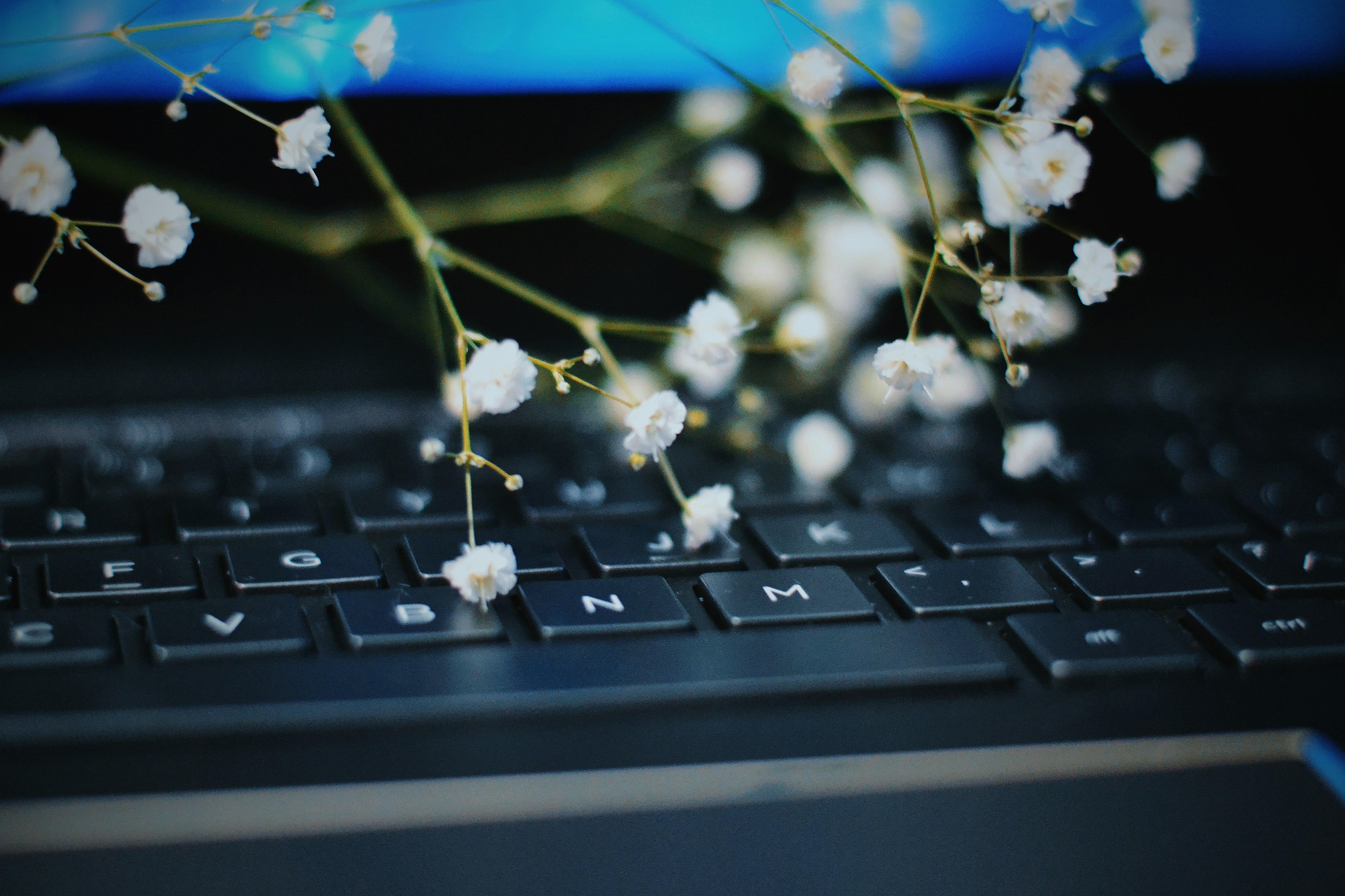 Whispers of White on a Quiet Keyboard
